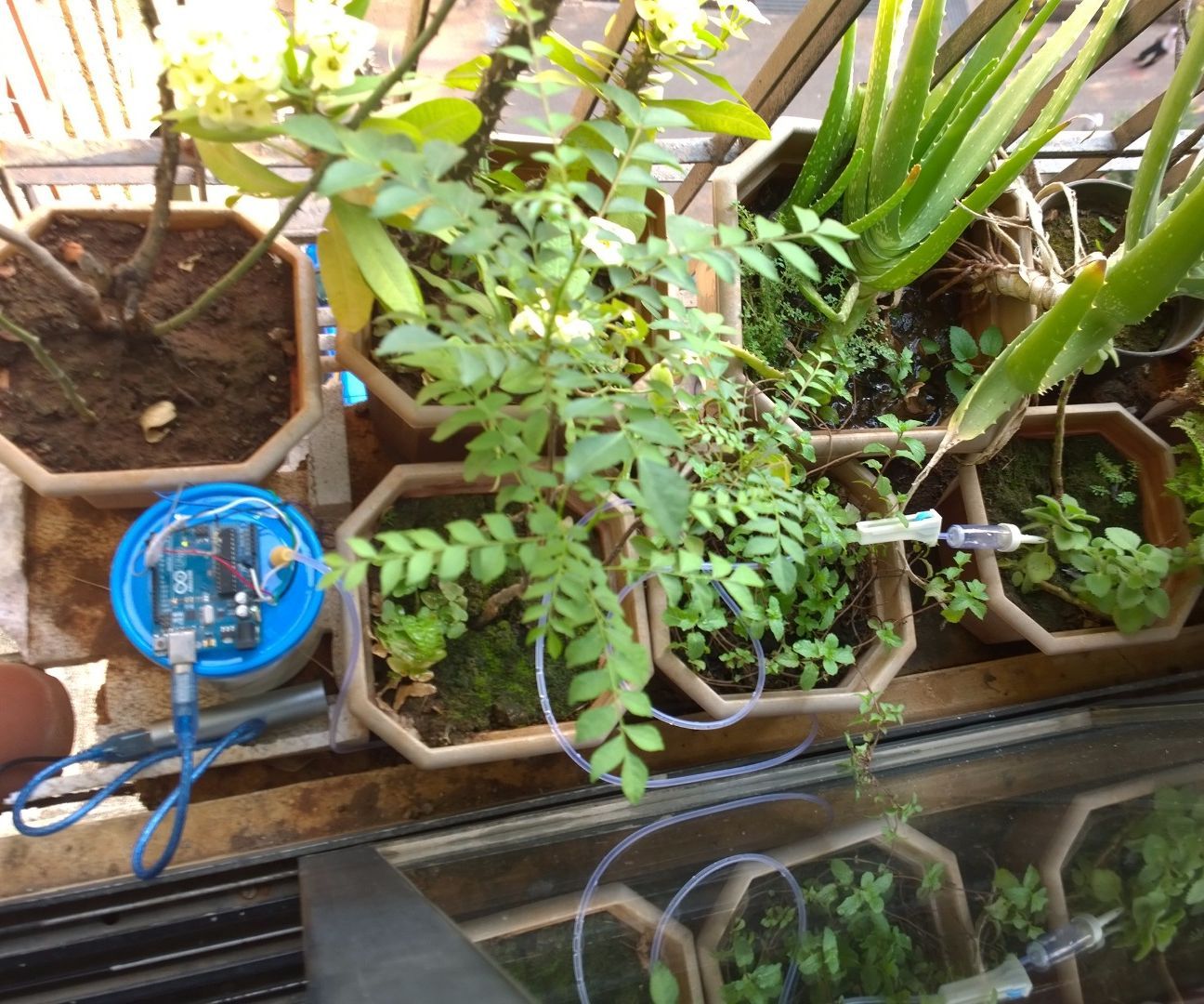 Plant Manager : 9 Steps (with Pictures) - Instructables