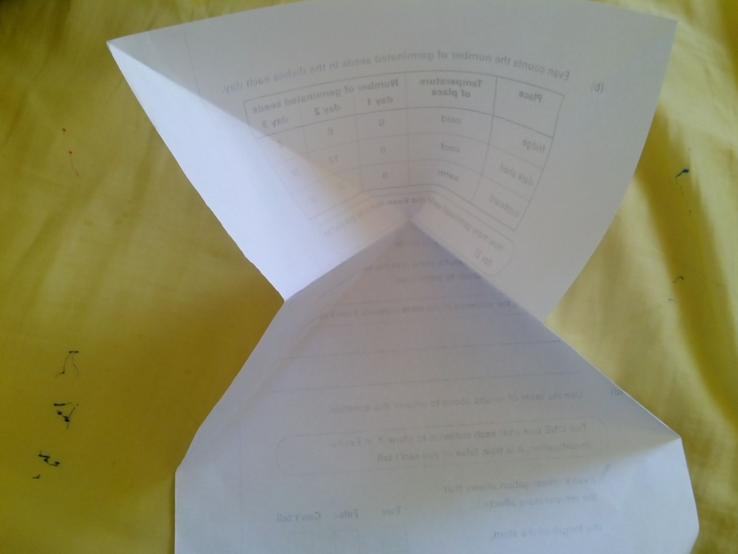 Dc3 Paper Airplane Instructions
