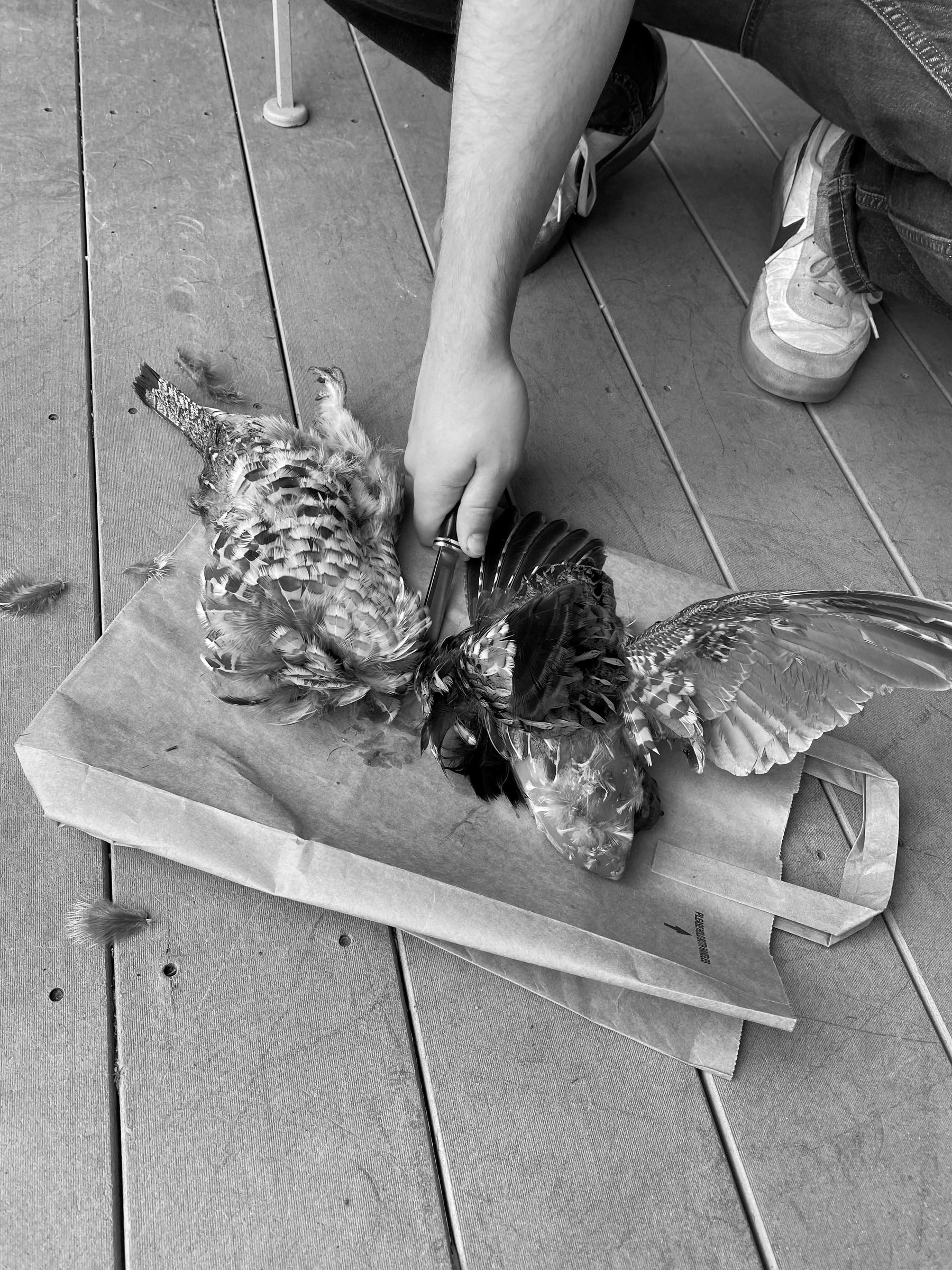 How to Prepare Wild Grouse : 13 Steps - Instructables