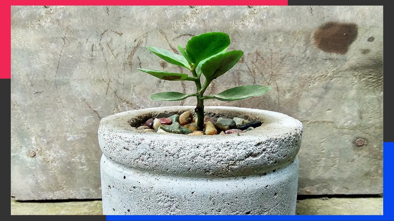Concrete Tree Planter : 5 Steps (with Pictures) - Instructables