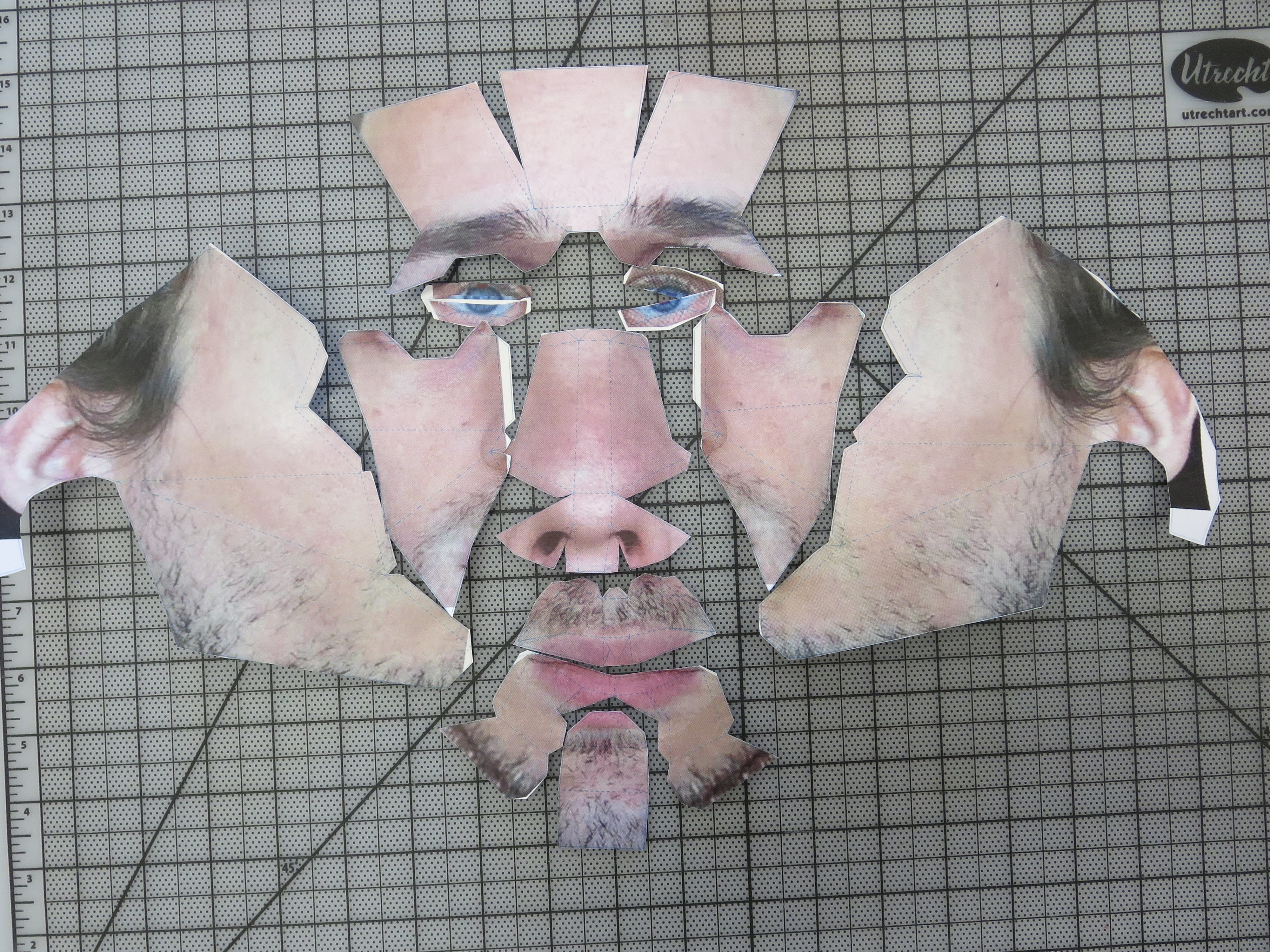 Paperfy Your Face (The Easy Method) : 10 Steps (with Pictures ...