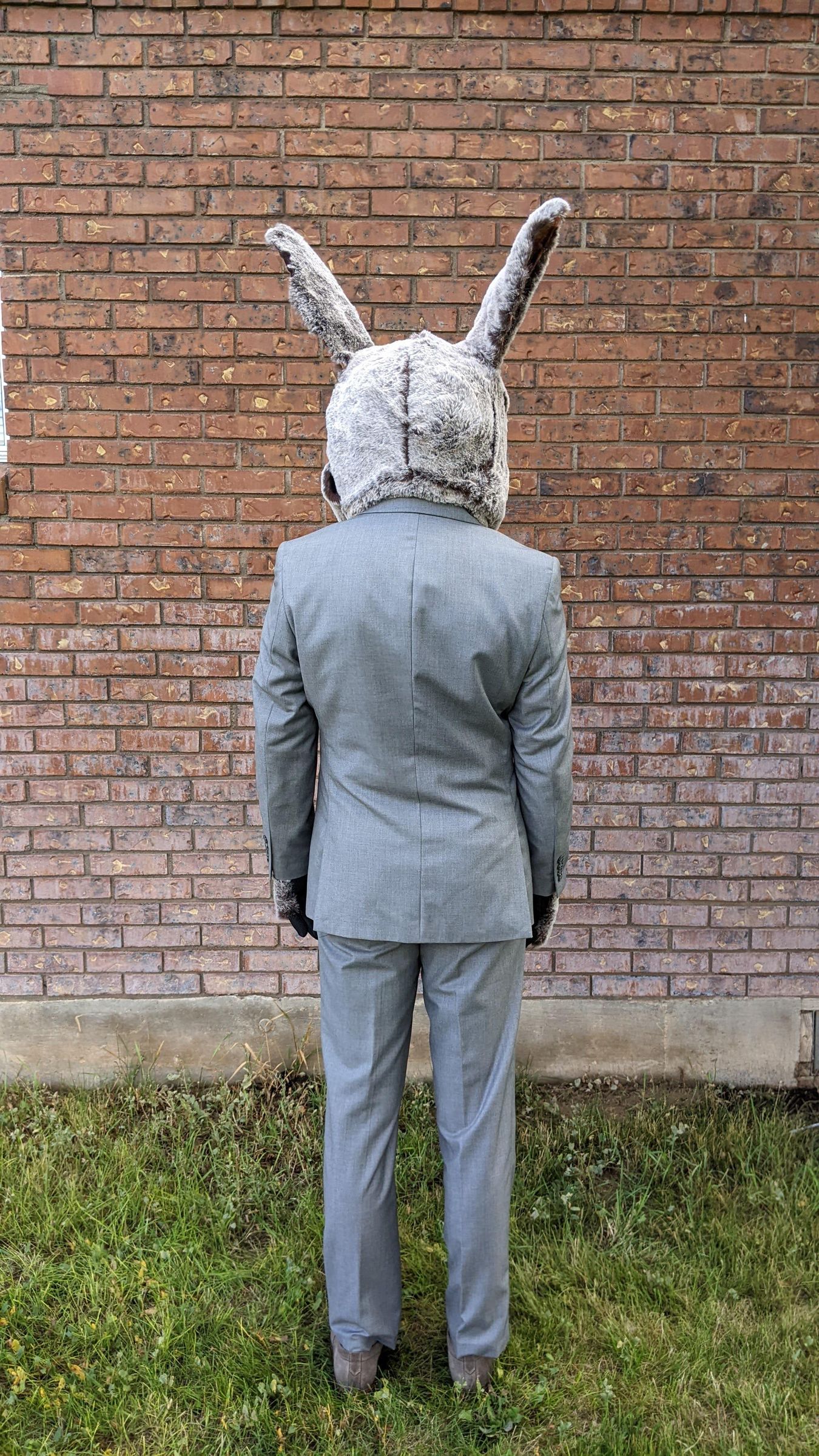 Realistic Bunny Head Costume : 7 Steps (with Pictures) - Instructables