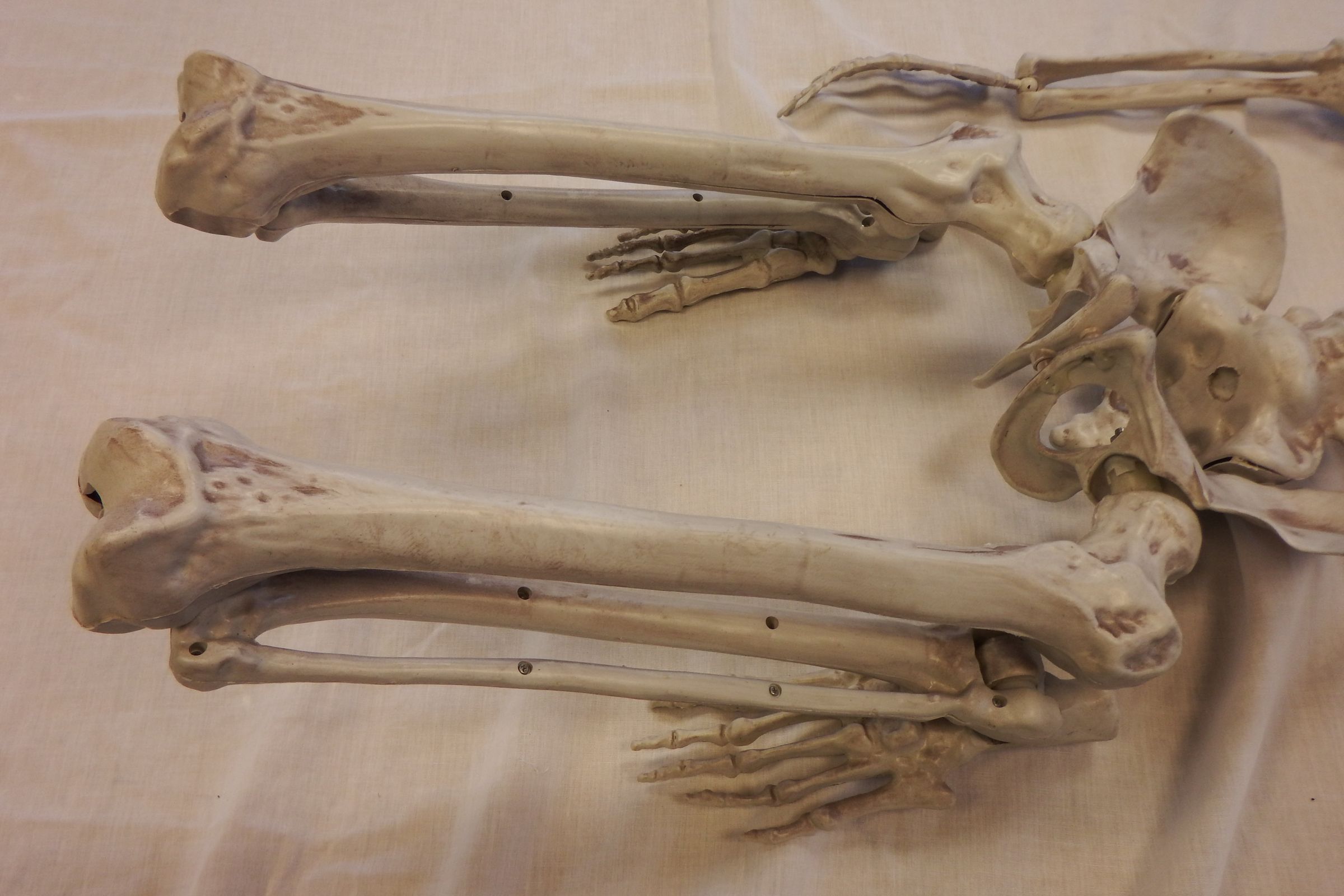 Hack and Repair Plastic Halloween Skeletons : 9 Steps - Instructables