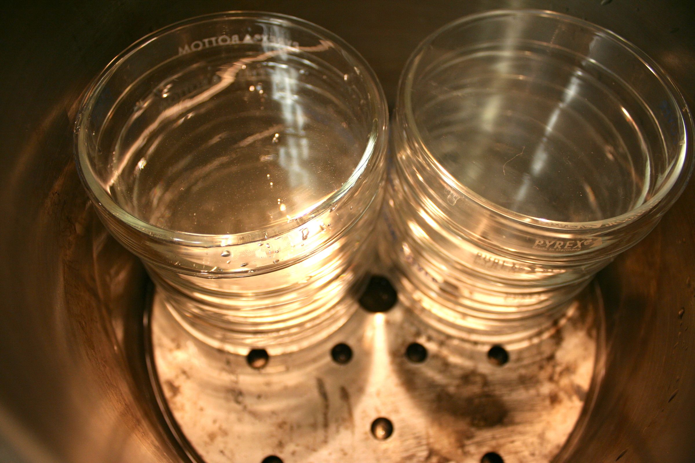 Bioluminescent Bacterial Lightbulb / Water Pollution Tester : 11 Steps ...