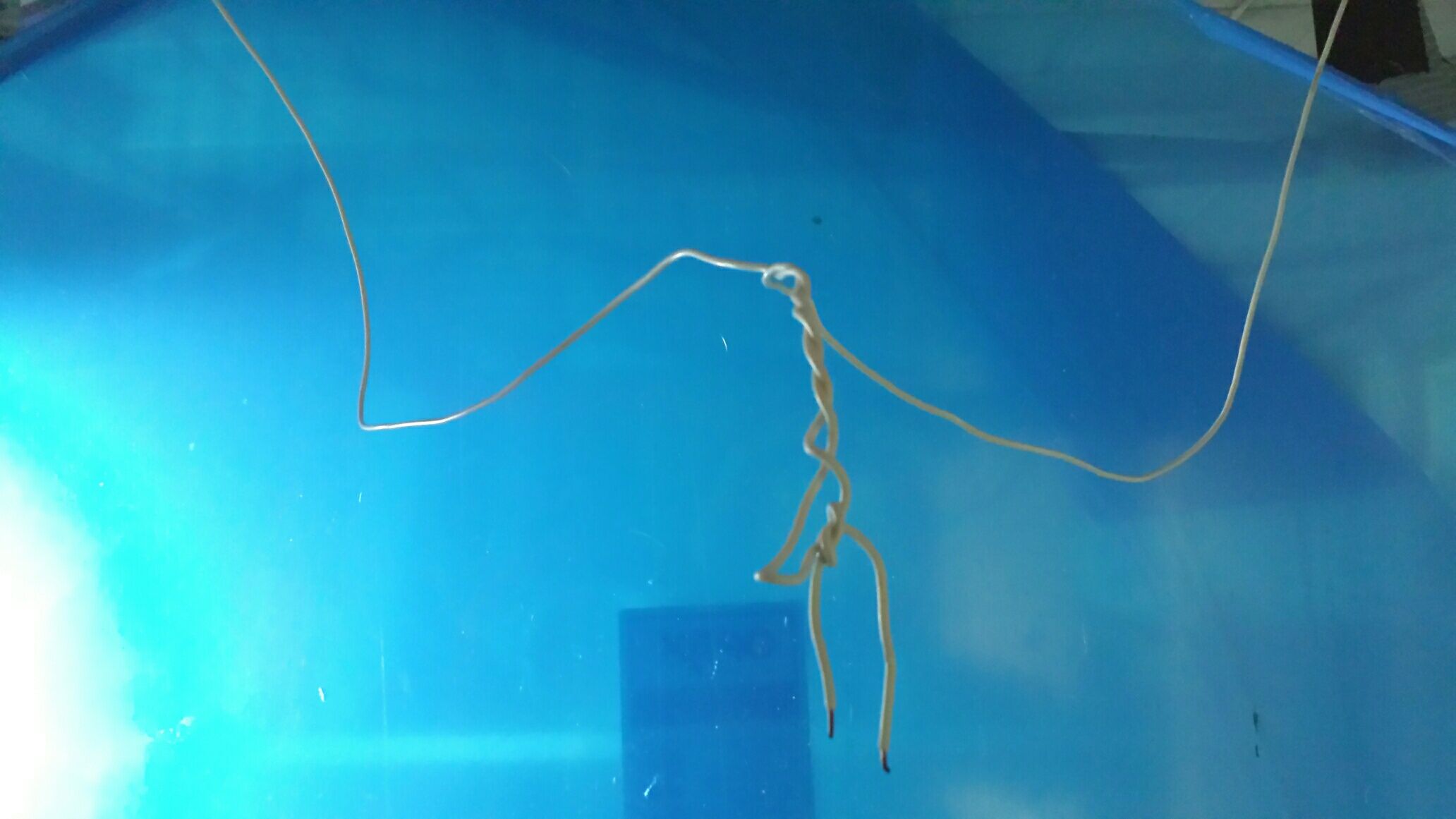 DIY Artificial Muscle : 16 Steps - Instructables
