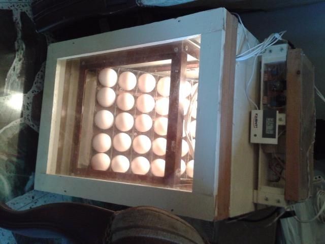 Automatic Egg Incubator : 4 Steps (with Pictures) - Instructables