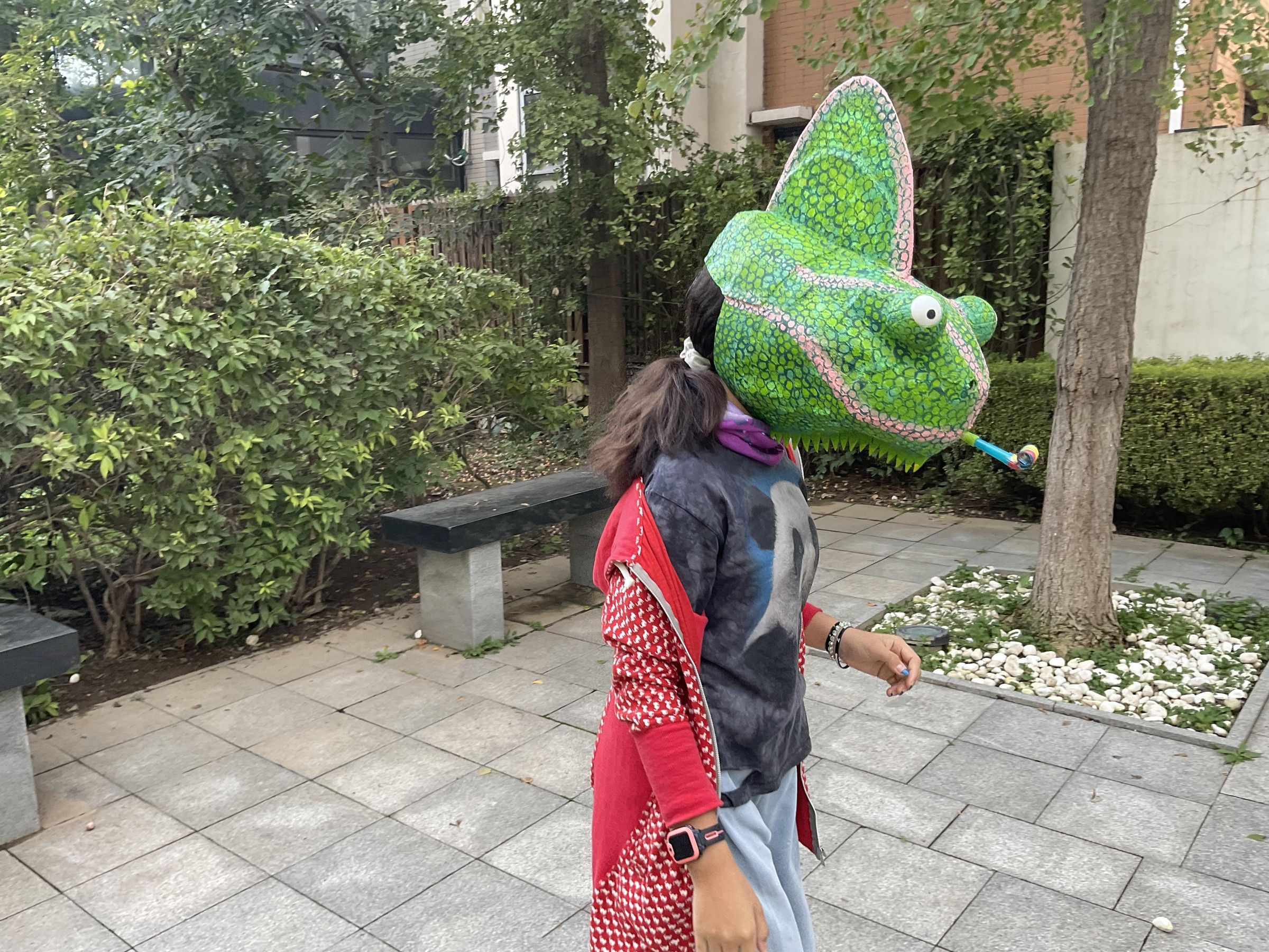 Chameleon Mask : 8 Steps (with Pictures) - Instructables