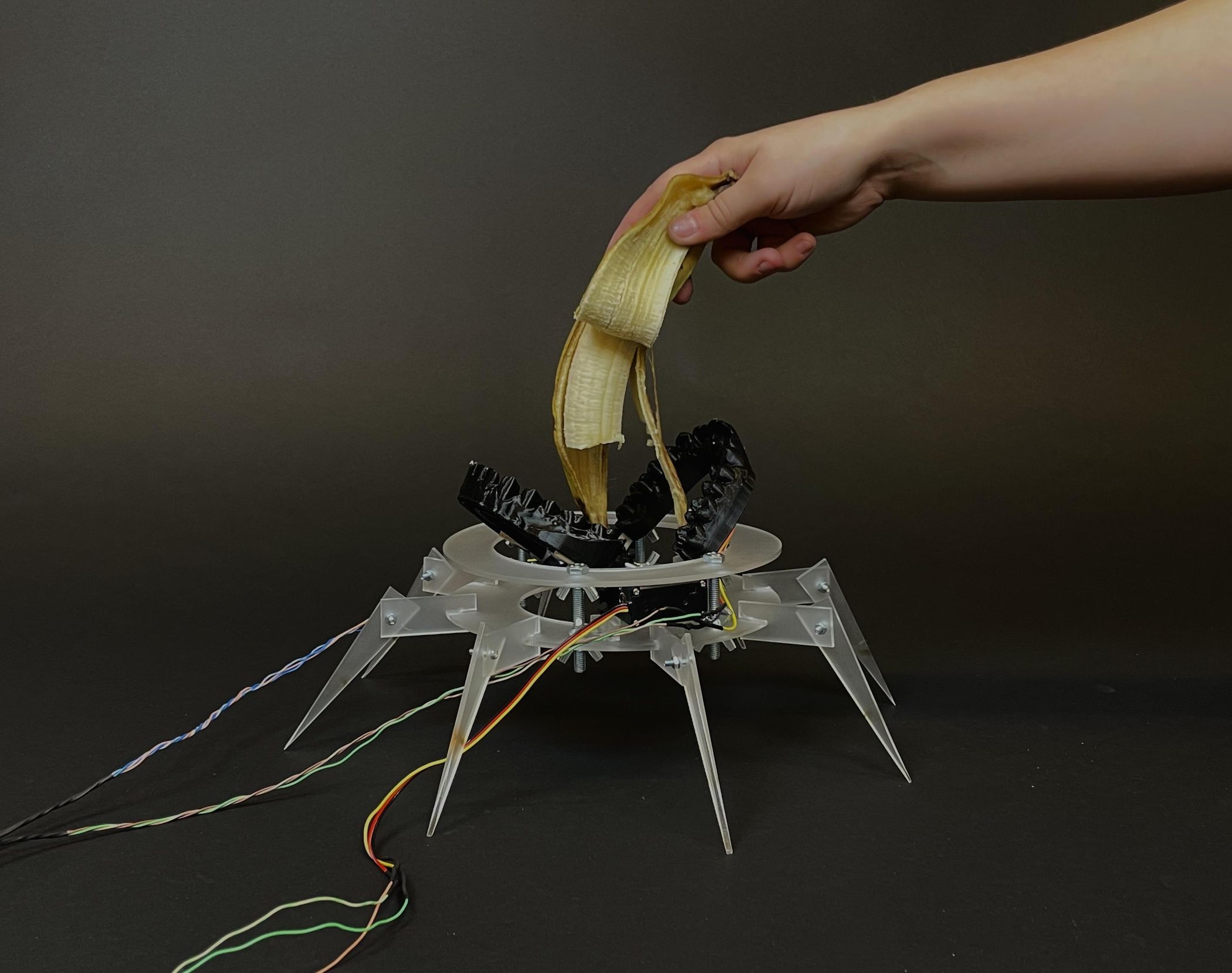 A Robot That Tries to Chop Up Soft Vegetables and Fruits With a Light ...