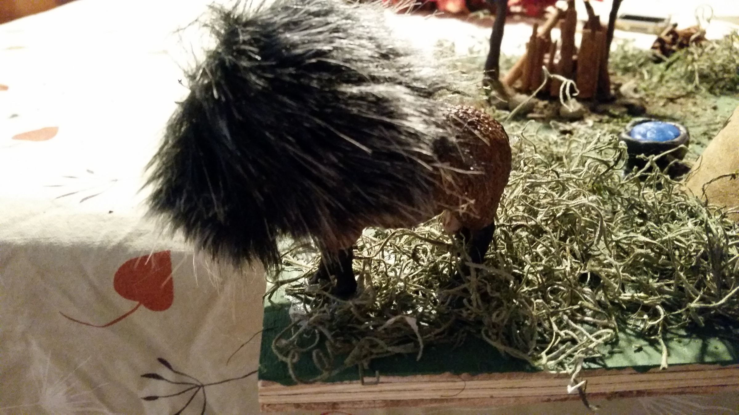 Native American Project : 6 Steps - Instructables