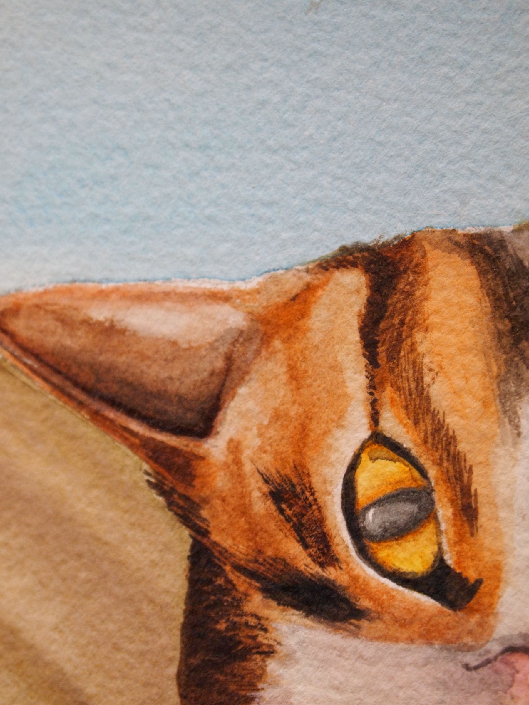 Watercolor Pet Portrait How-To : 7 Steps (with Pictures) - Instructables