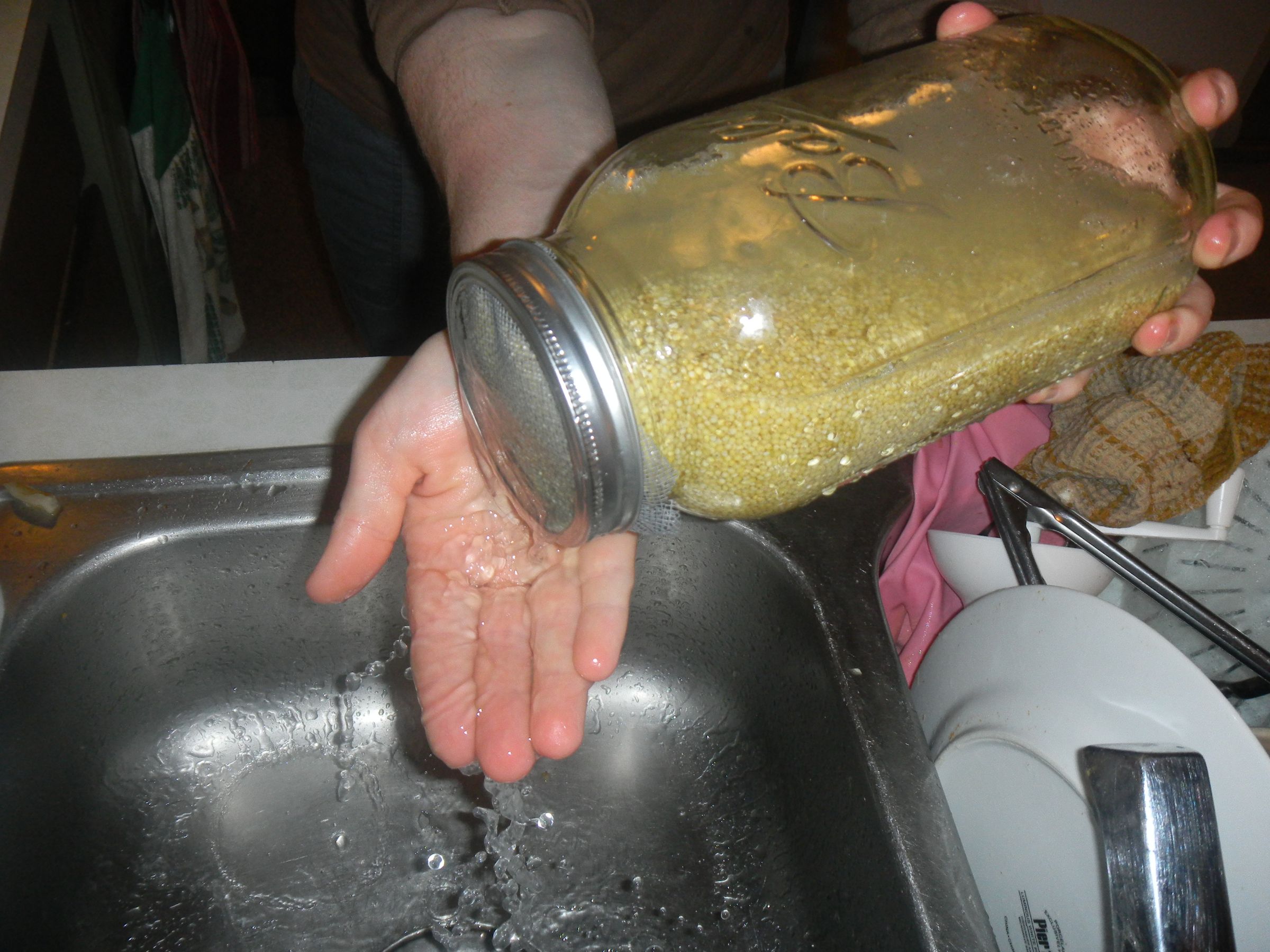 Sprout Quinoa : 4 Steps (with Pictures) - Instructables