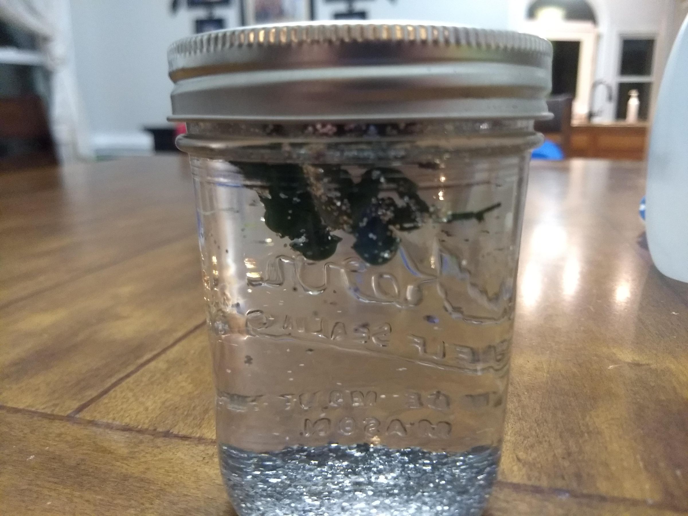 Snow Mason Jar (snow Globe in a Mason Jar) : 3 Steps (with Pictures ...