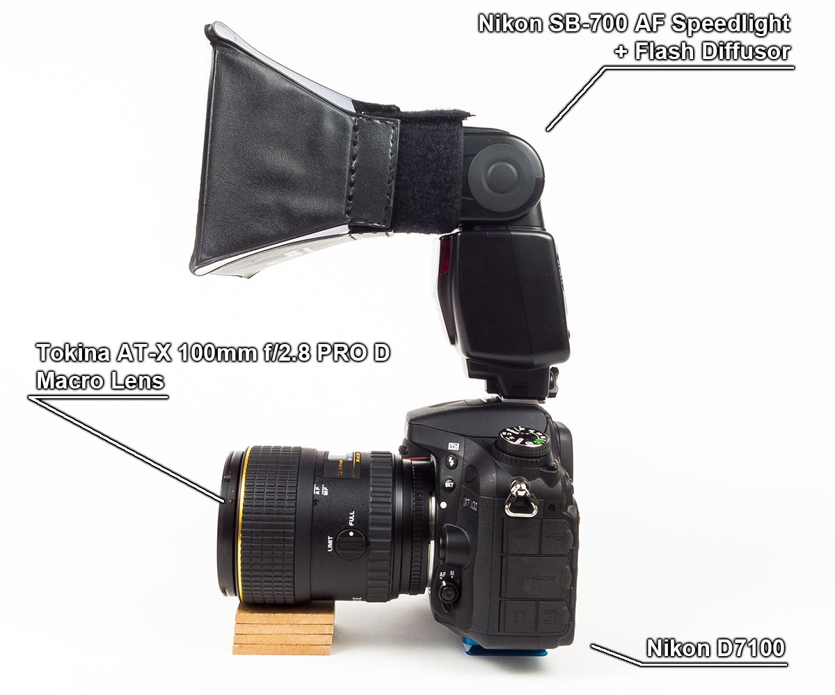 DSLR Macro Photography: a Comprehensive Overview : 22 Steps (with ...