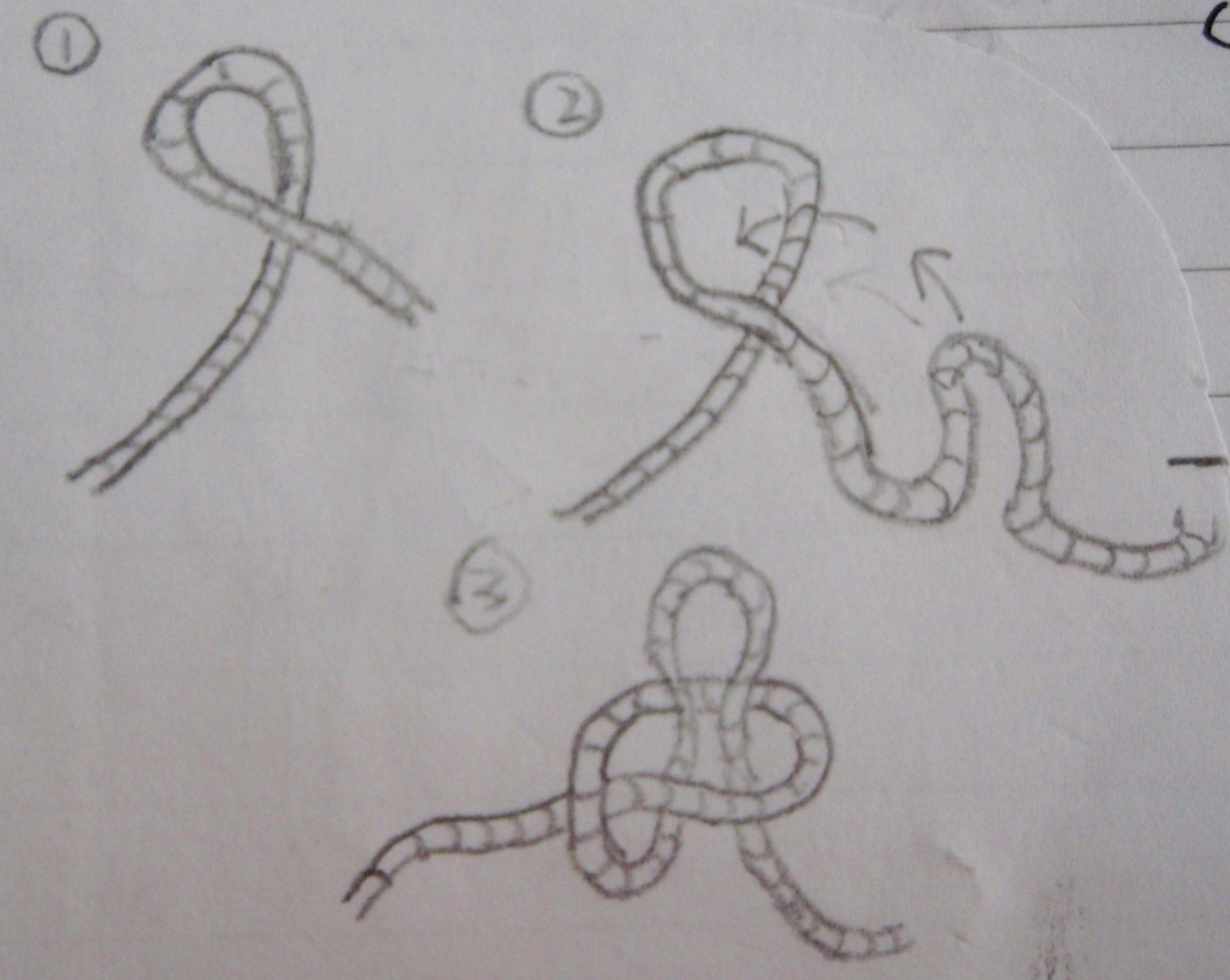 Basic Knots Guide : 8 Steps - Instructables