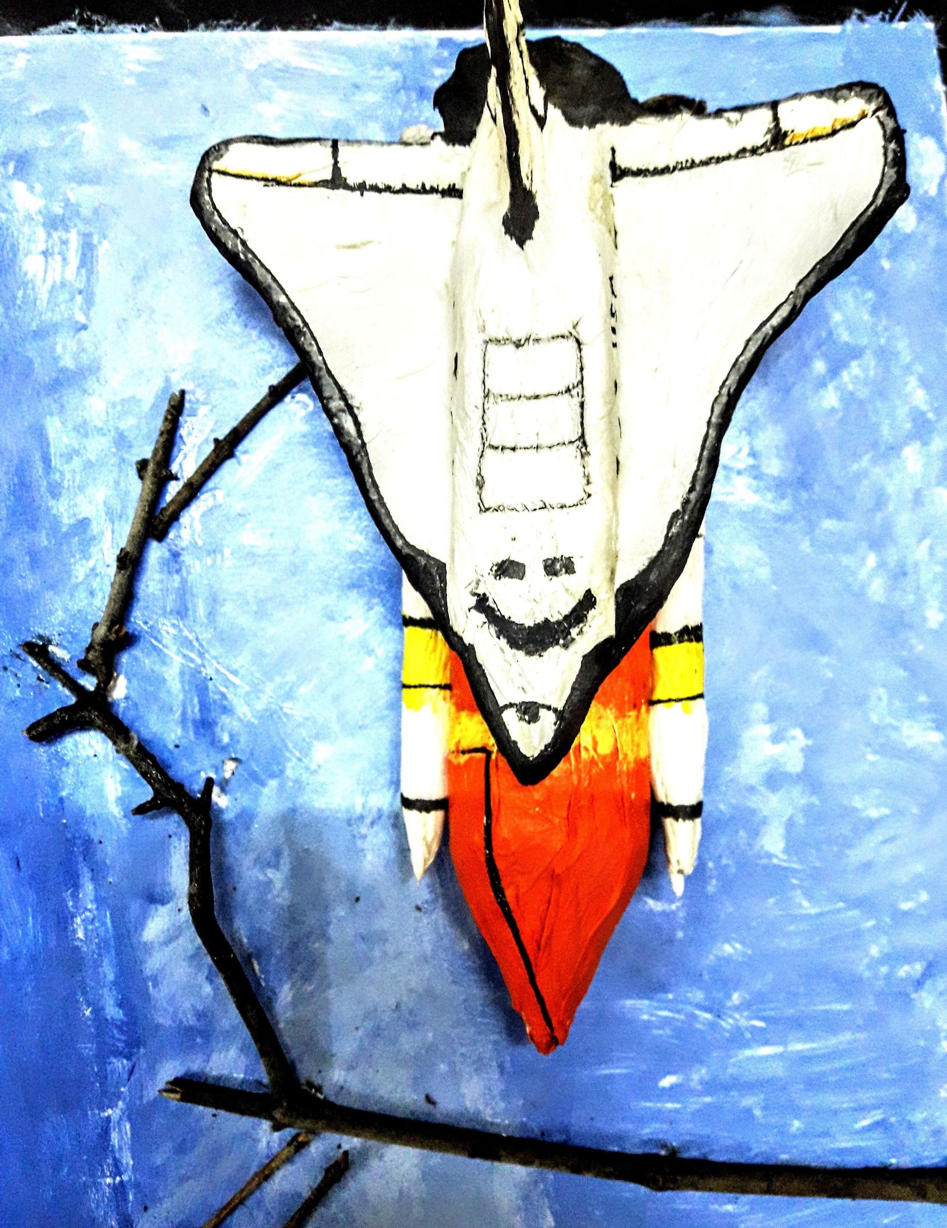 DIY NASA Space Shuttle : 4 Steps - Instructables