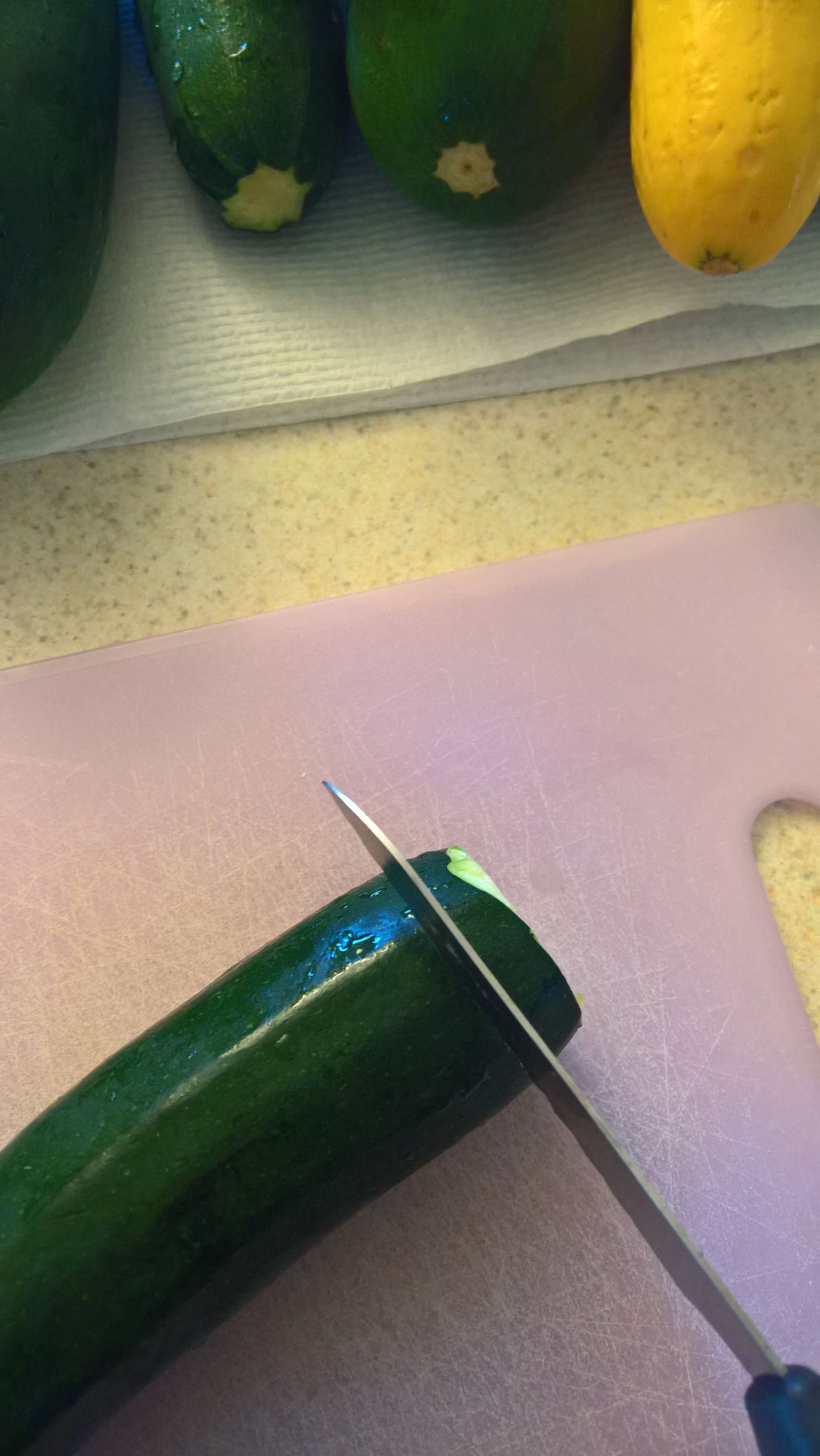 Preserving Summer Squash/zucchini : 4 Steps (with Pictures) - Instructables