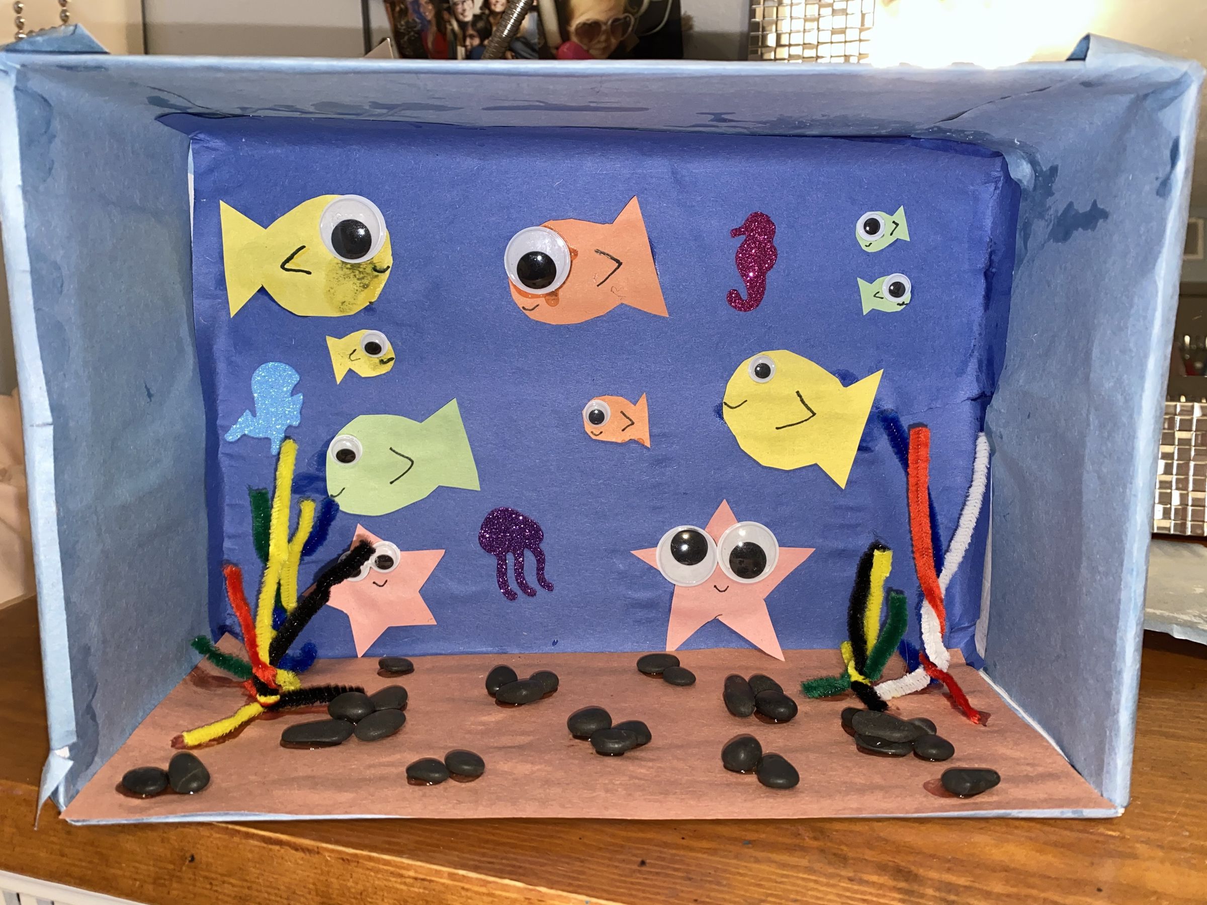 The Shoebox Aquarium : 10 Steps - Instructables