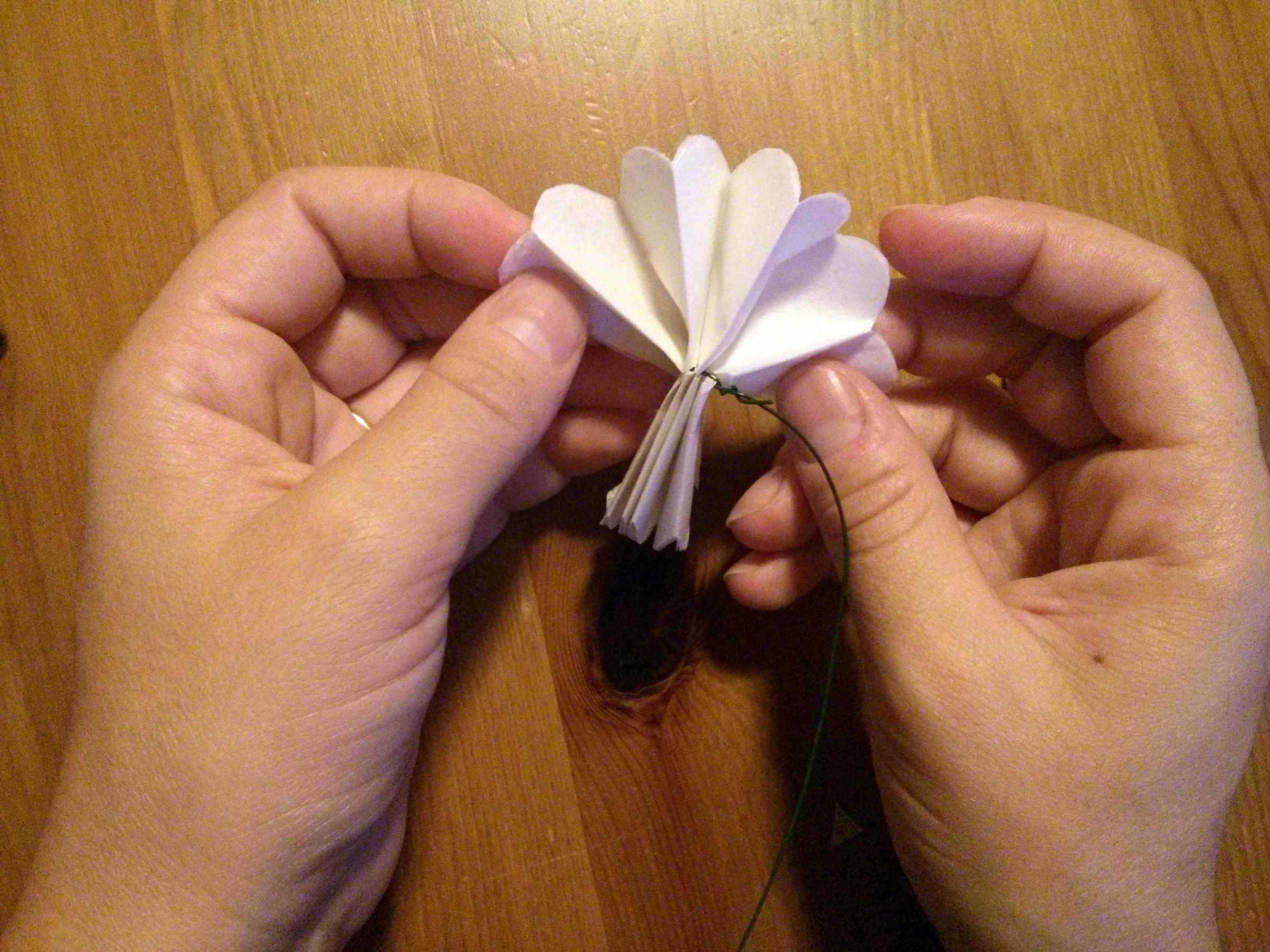 Tissue Paper Peonies : 10 Steps - Instructables