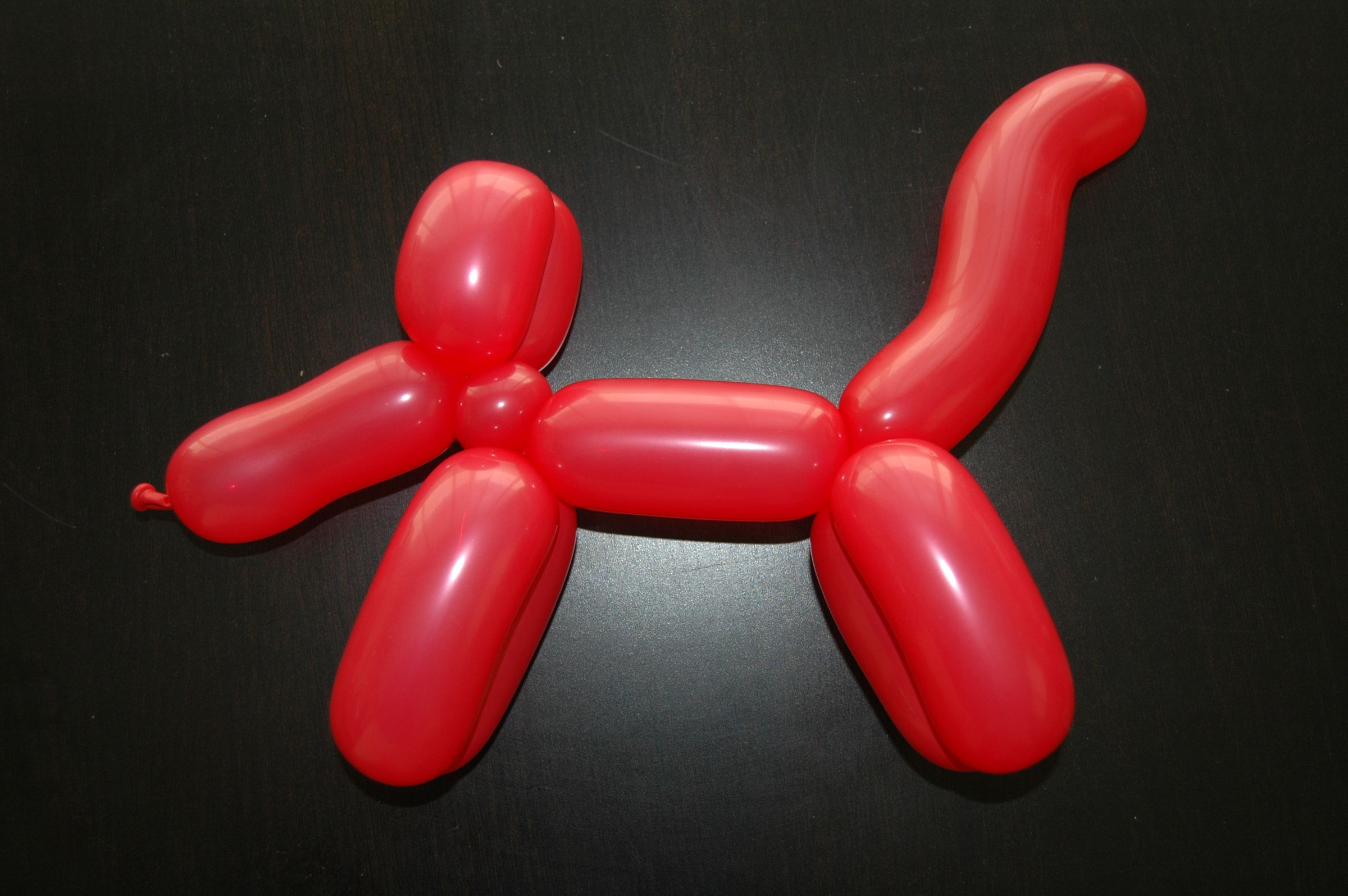 How to Balloon Twist : 19 Steps (with Pictures) - Instructables