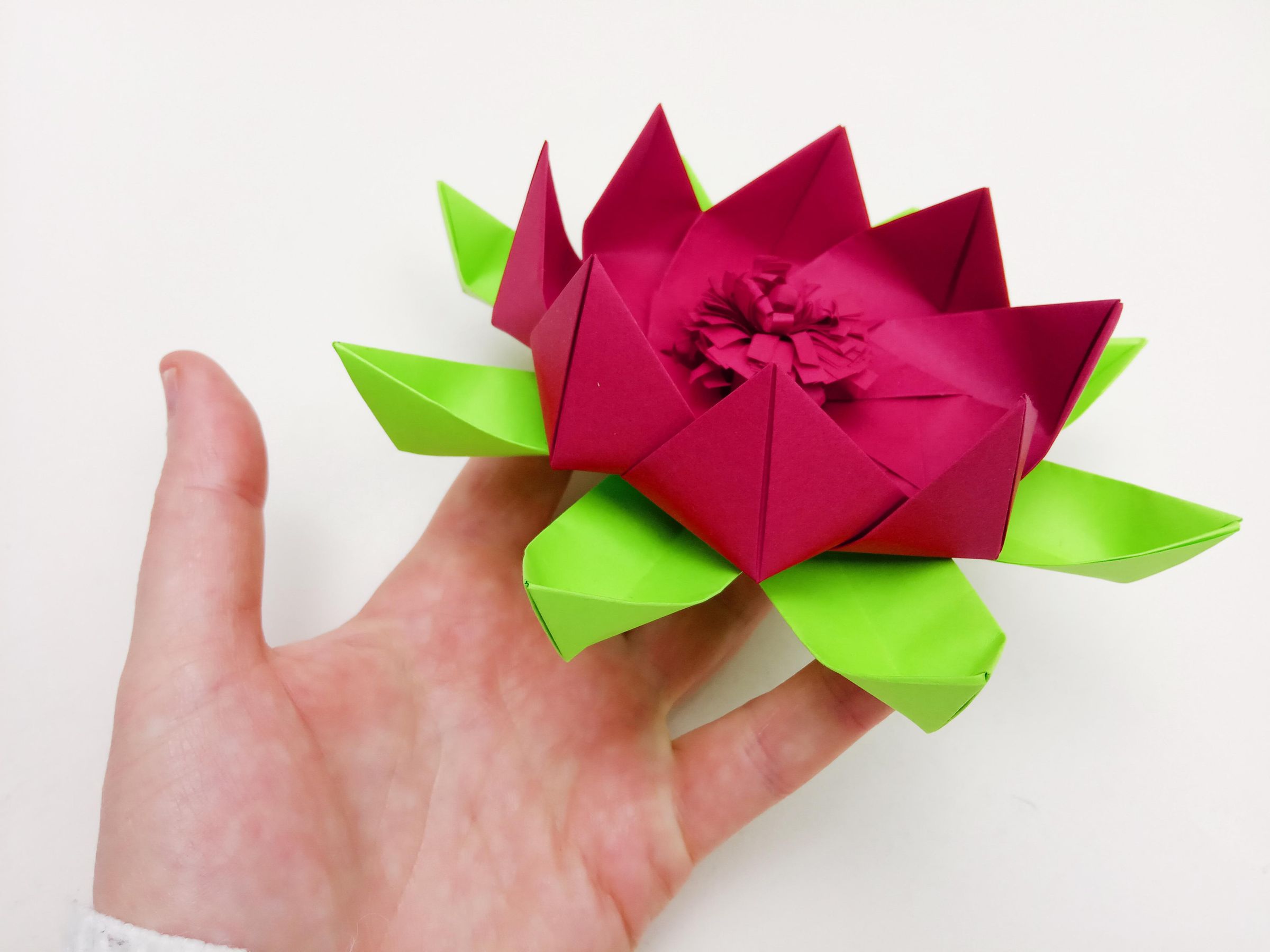 Paper Lotus Flower : 11 Steps (with Pictures) - Instructables
