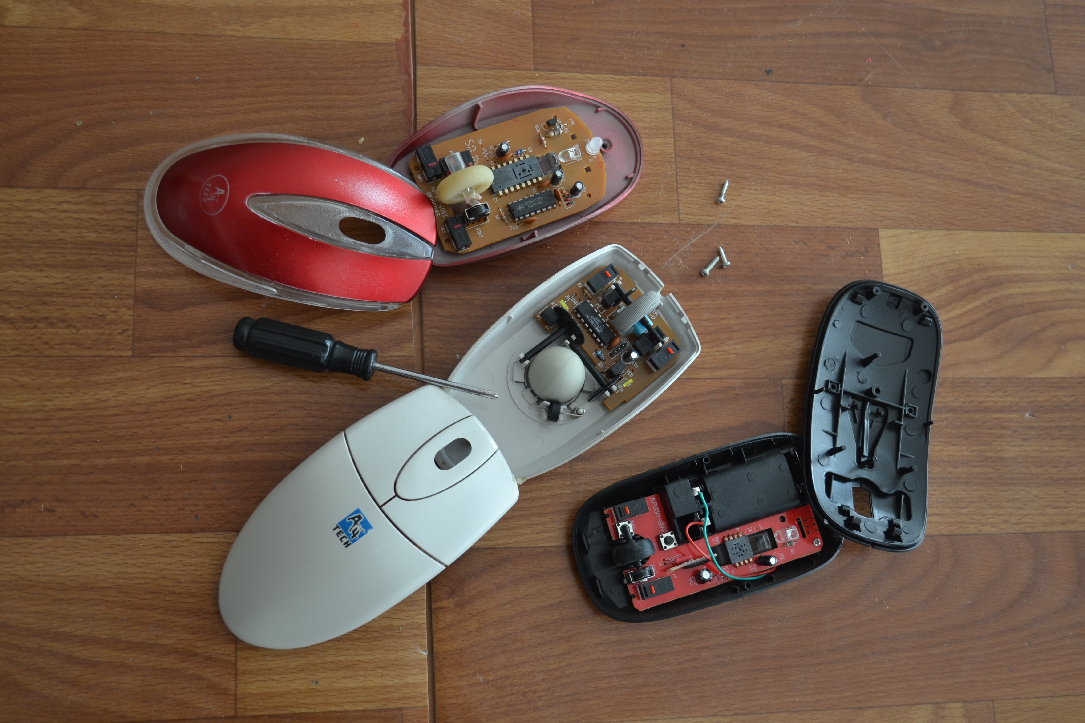 Evolution Of The Computer Mouse