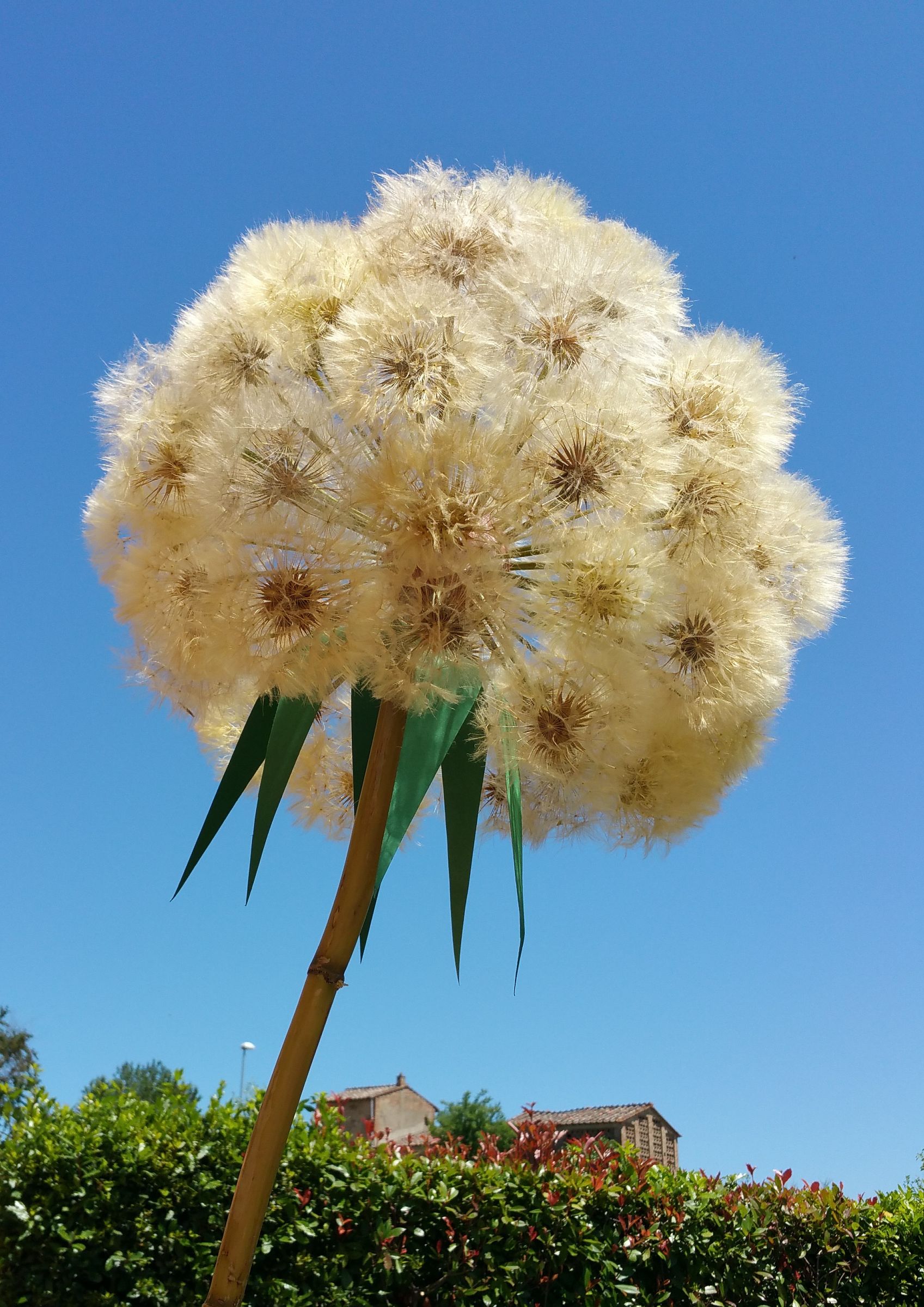 Giant Fractal Dandelion : 6 Steps (with Pictures) - Instructables