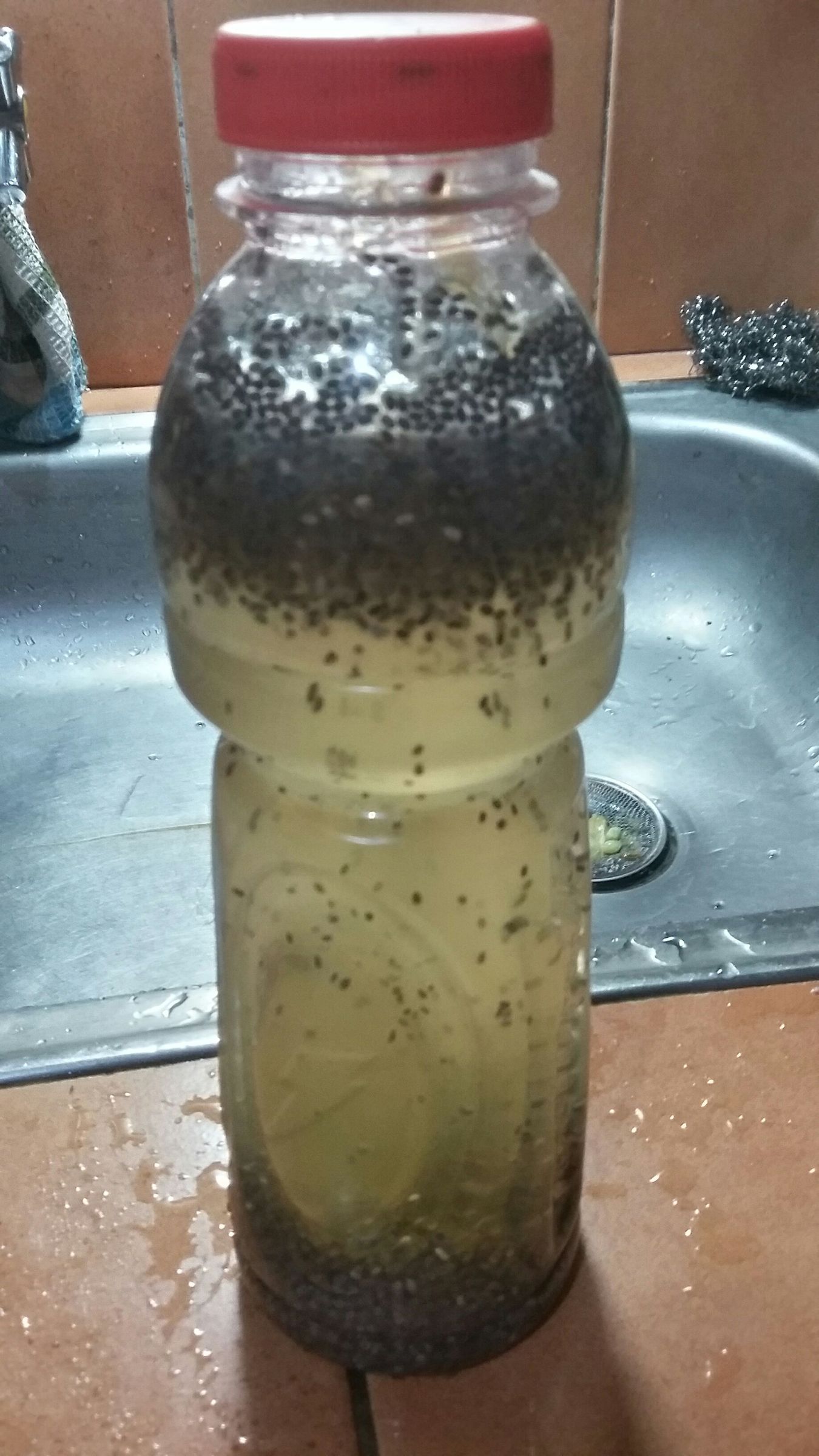 Iskiate (Chia Fresca) Natural Energy Drink : 3 Steps (with Pictures ...
