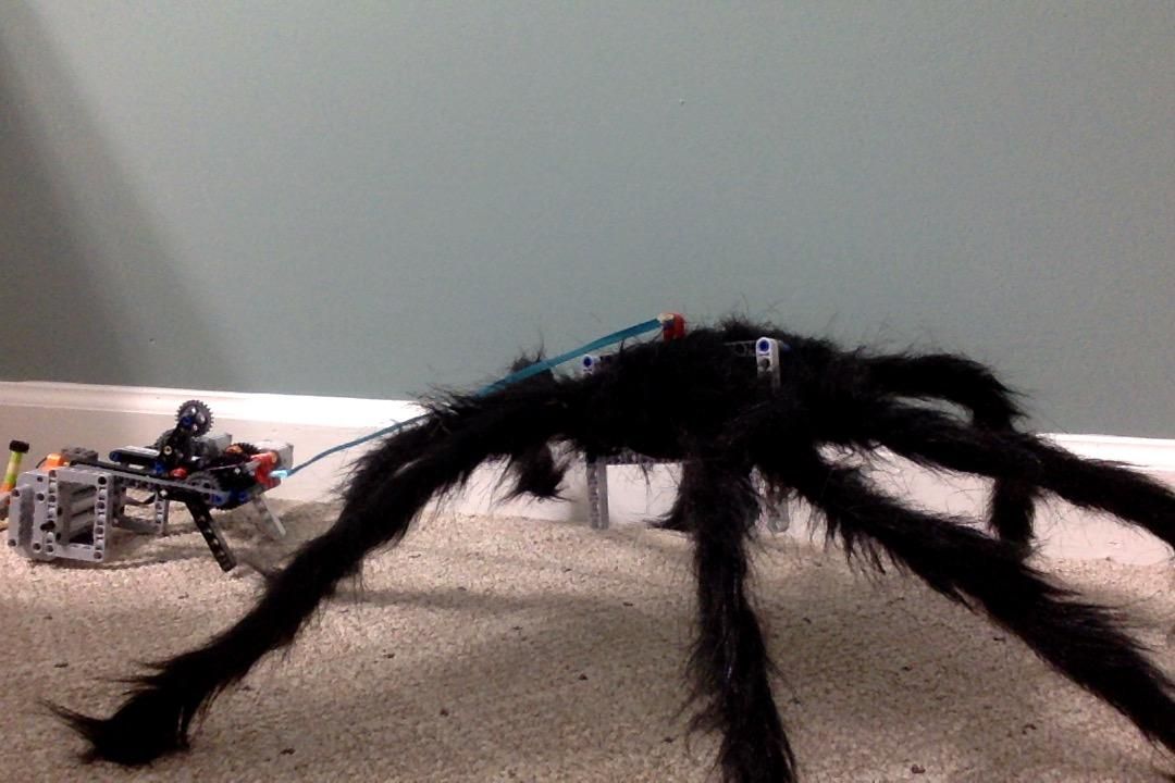 Jumping Spider for Halloween : 6 Steps - Instructables