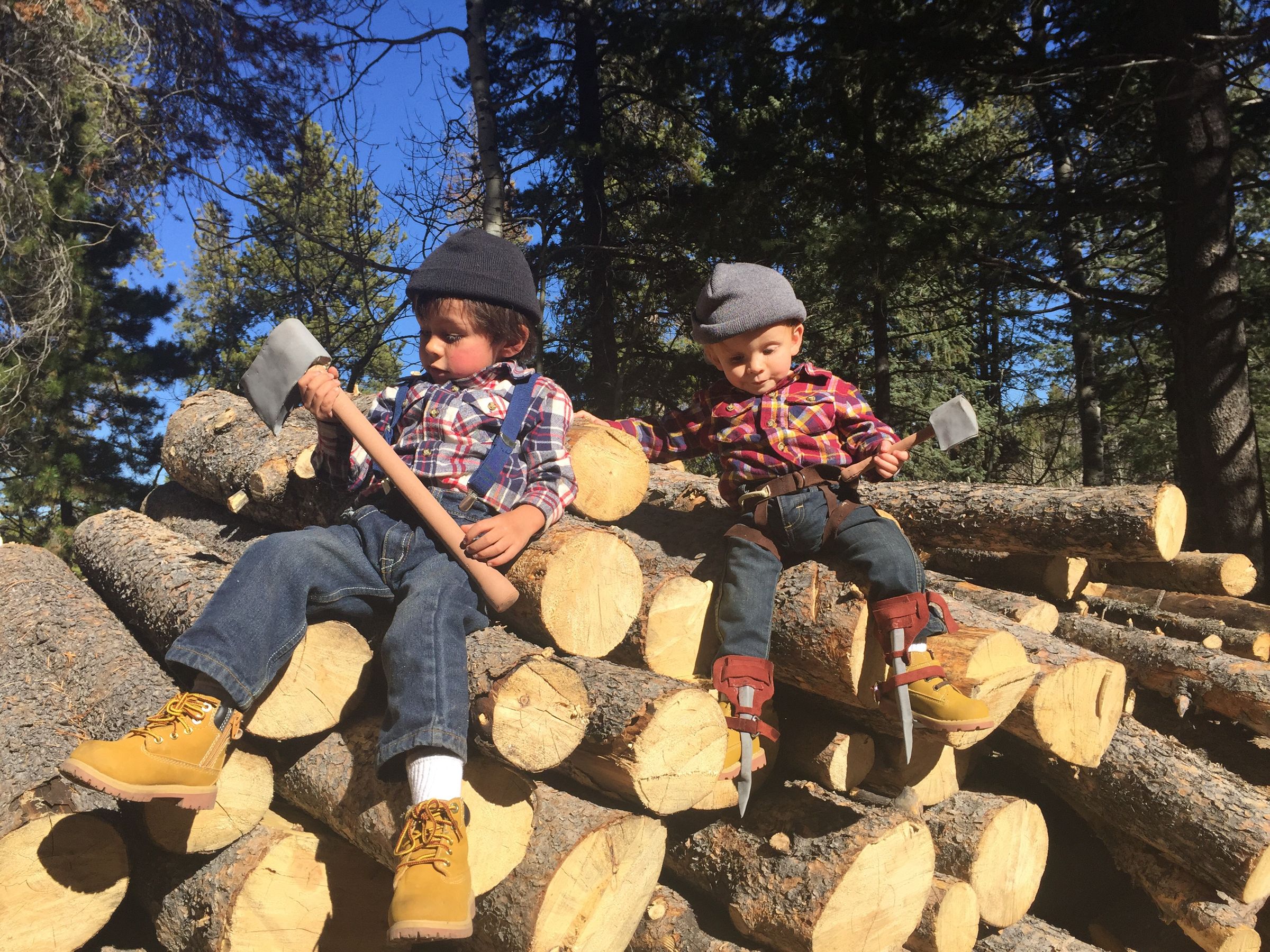 Little Lumberjacks and Trees : 3 Steps (with Pictures) - Instructables