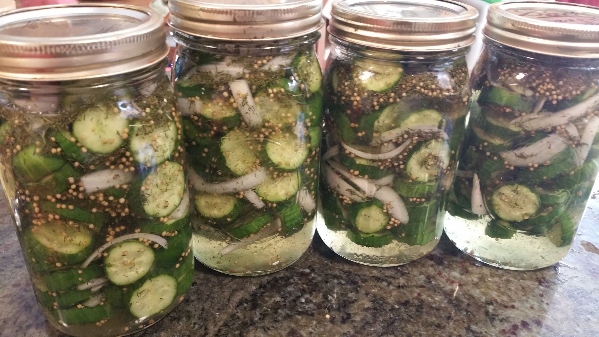 No-Cook Overnight Refrigerator Pickles : 5 Steps (with Pictures ...