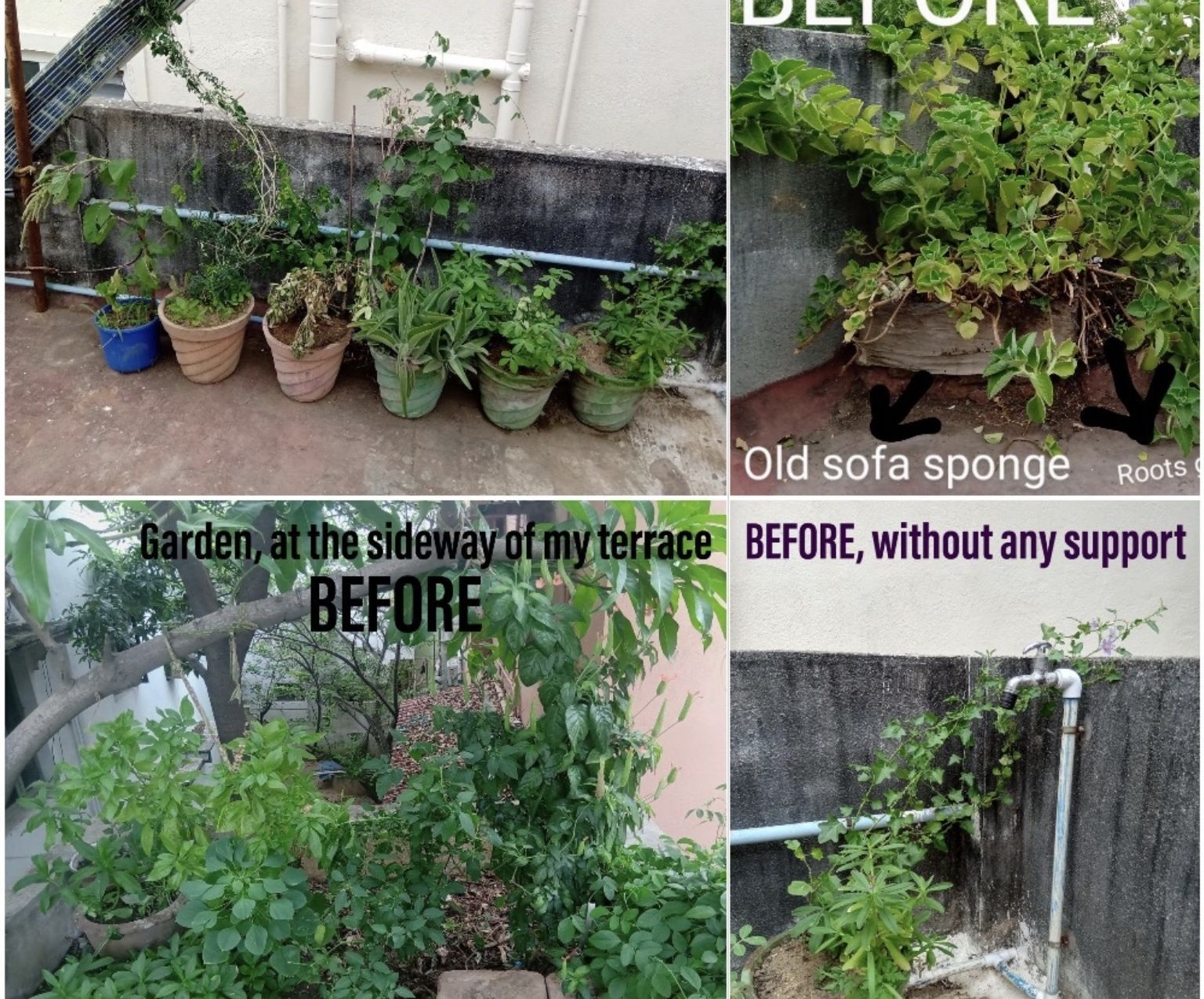 Declutter Around Terrace Garden! : 11 Steps - Instructables