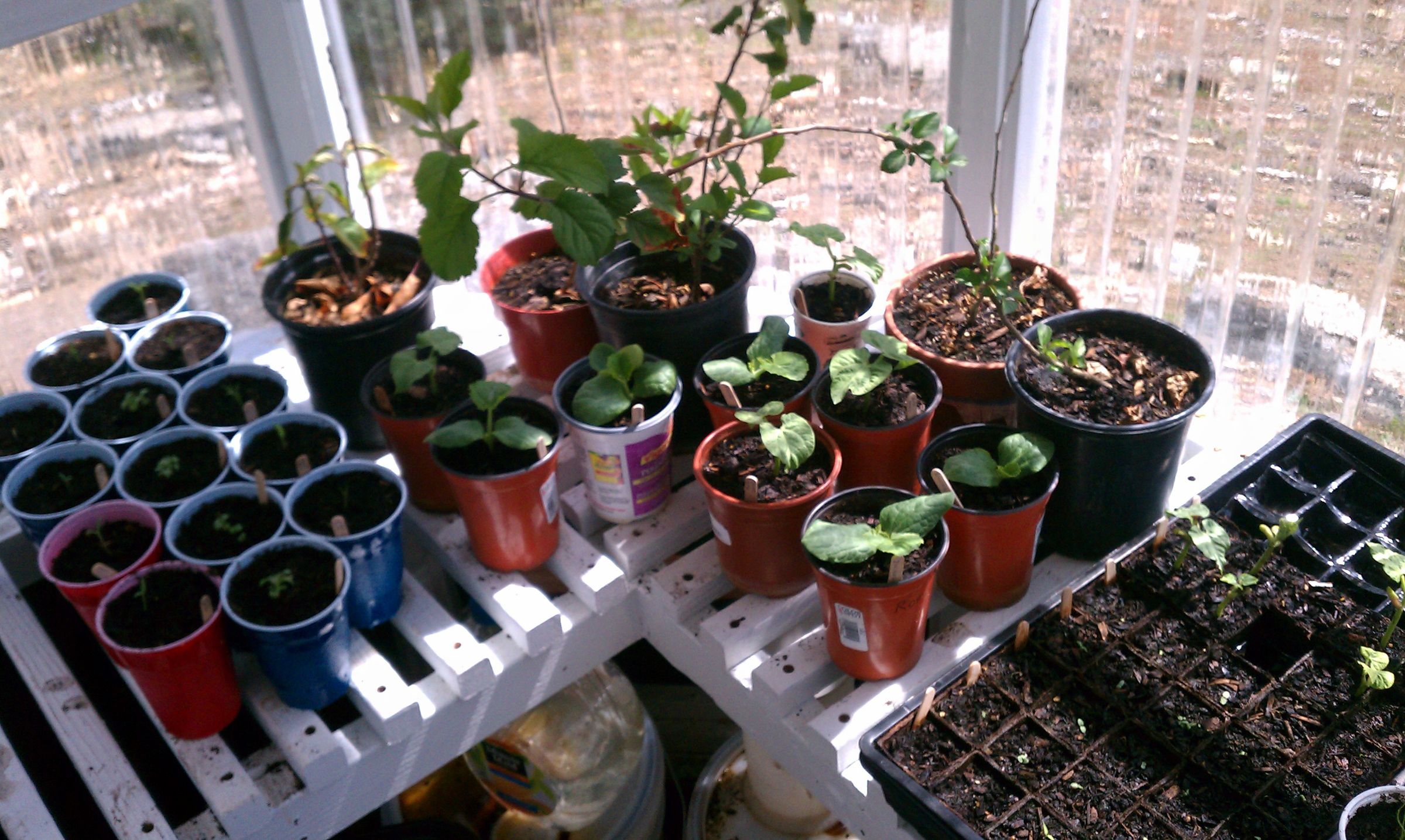 Octagonal Greenhouse : 15 Steps (with Pictures) - Instructables