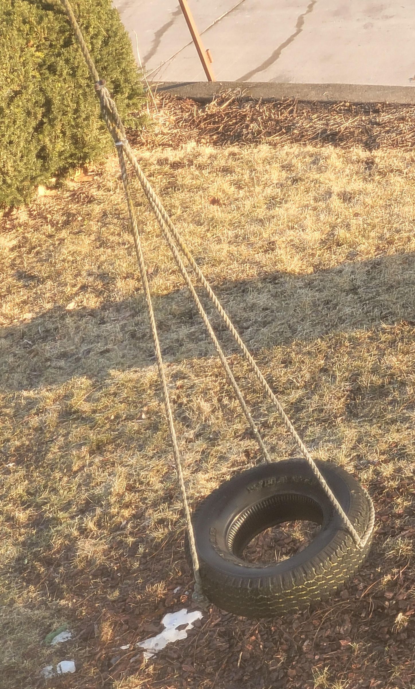 Ultimate Tire Swing : 7 Steps (with Pictures) - Instructables