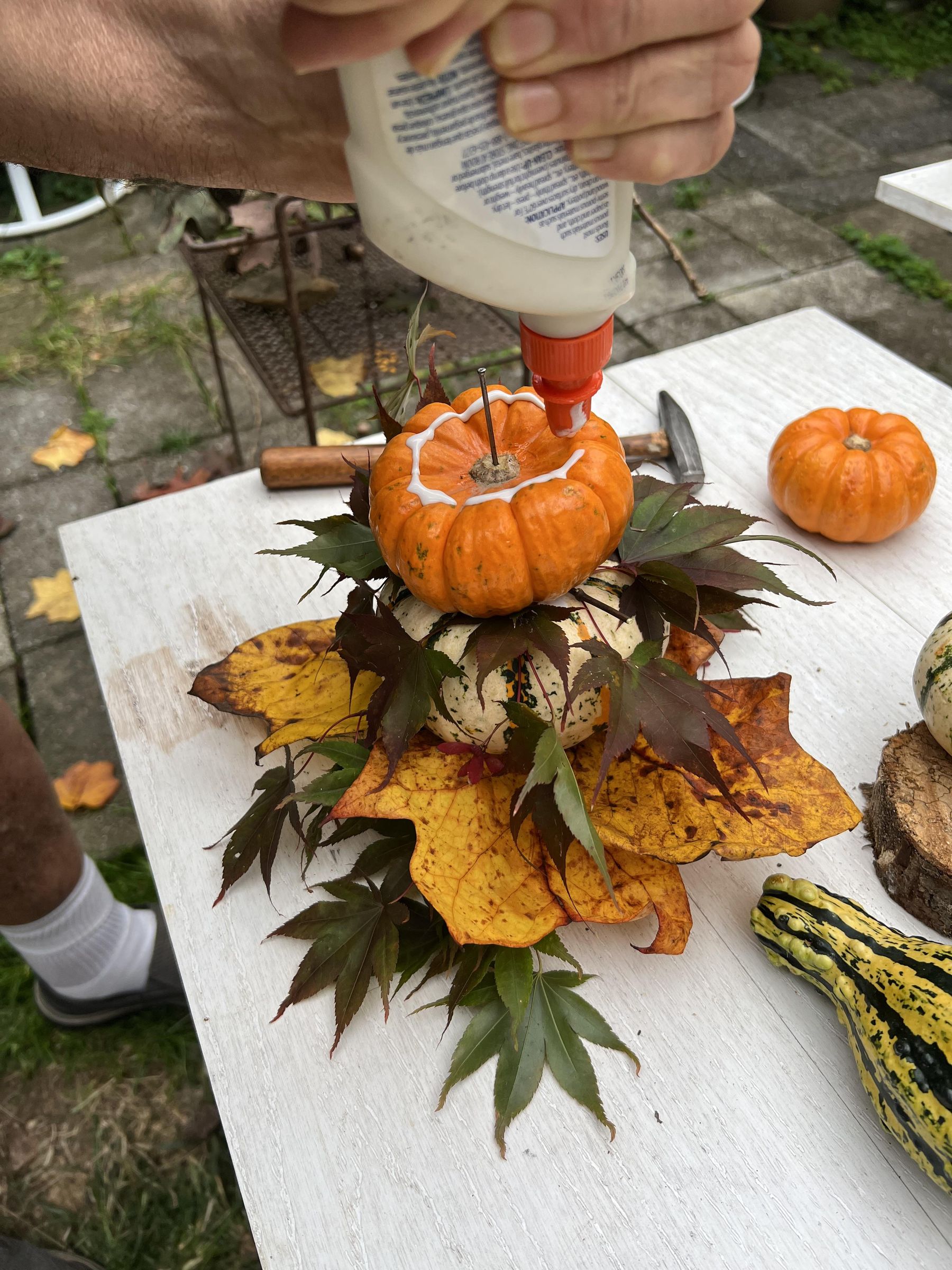 Make Festive Gourd Trees : 12 Steps (with Pictures) - Instructables