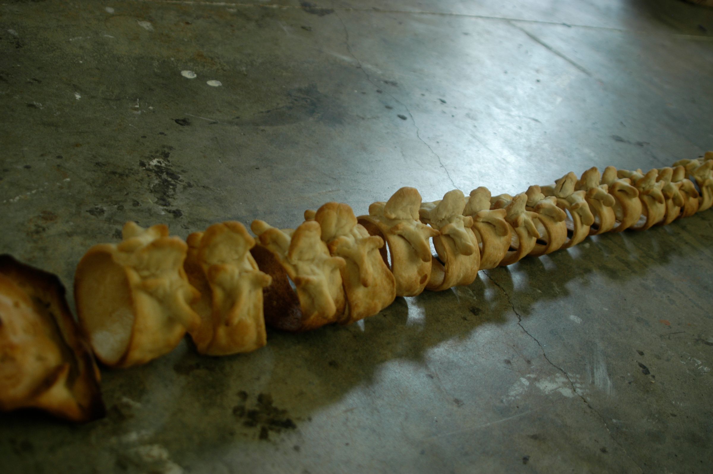 Spinal Crackers : 21 Steps - Instructables