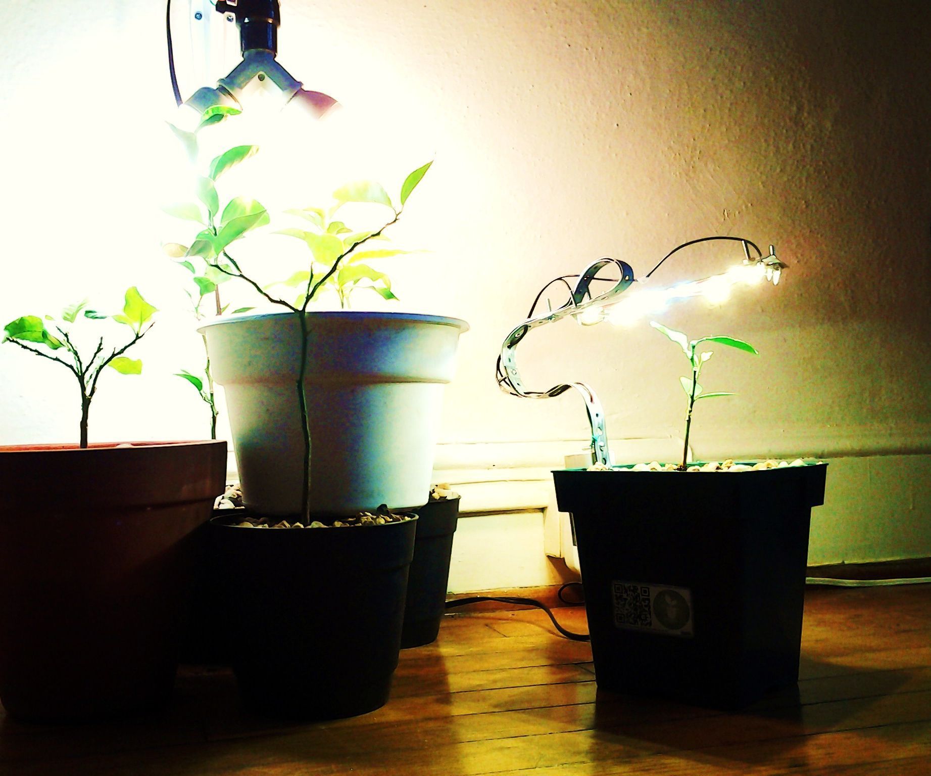 Portable Plant Light : 5 Steps - Instructables
