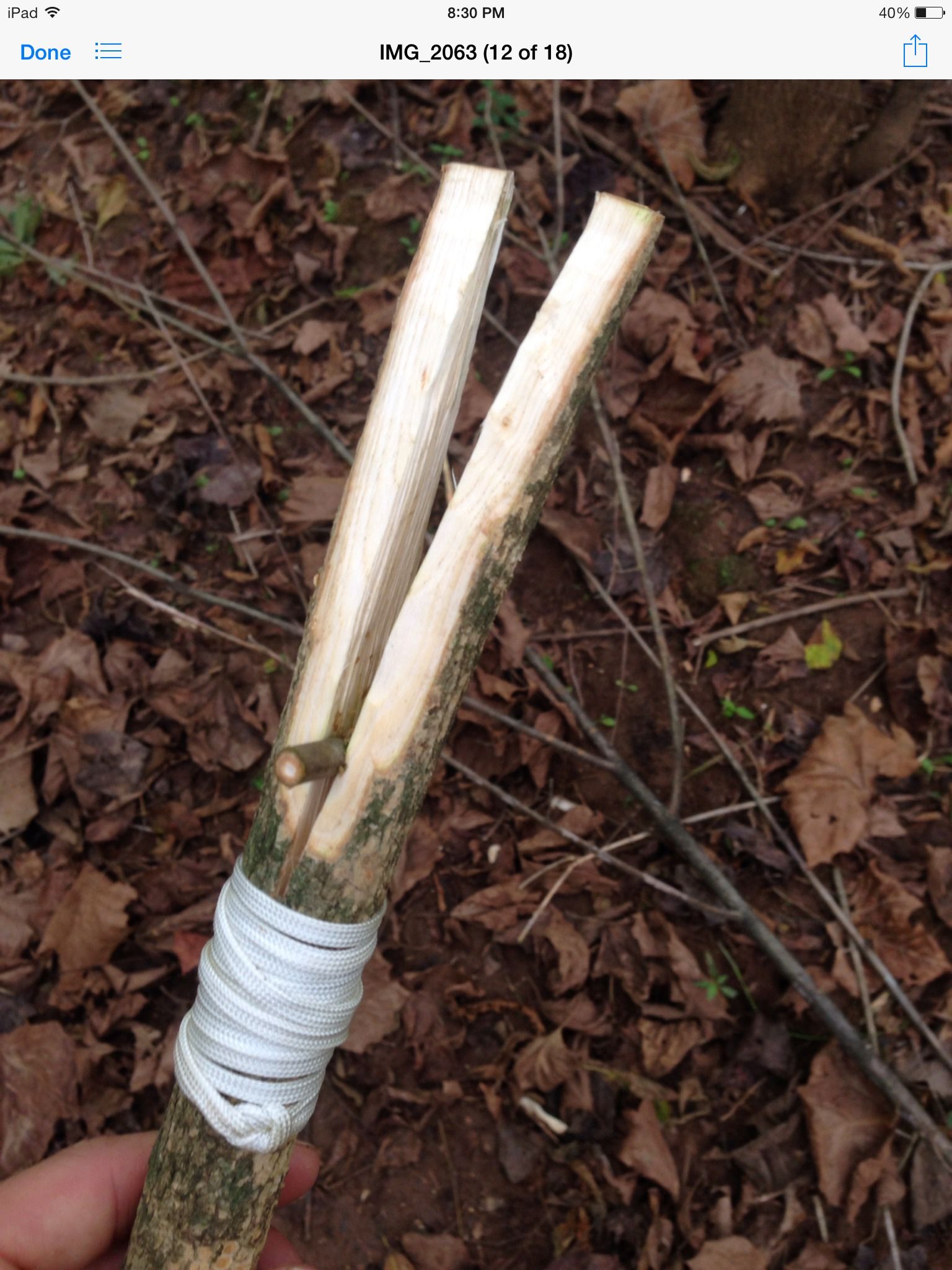 Two-Pronged Hunting Spear : 5 Steps (with Pictures) - Instructables