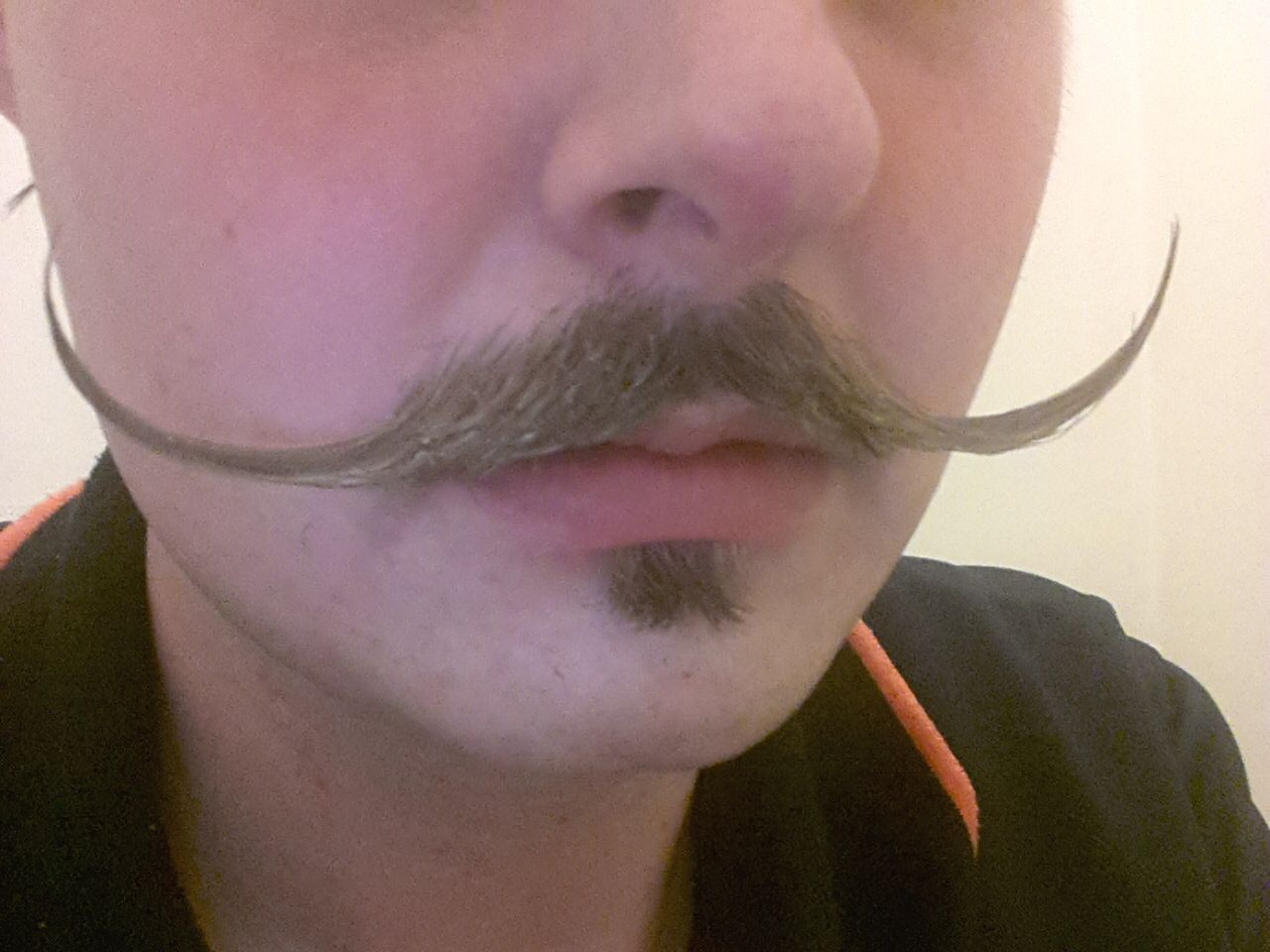 Taming a Mustache : 6 Steps (with Pictures) - Instructables