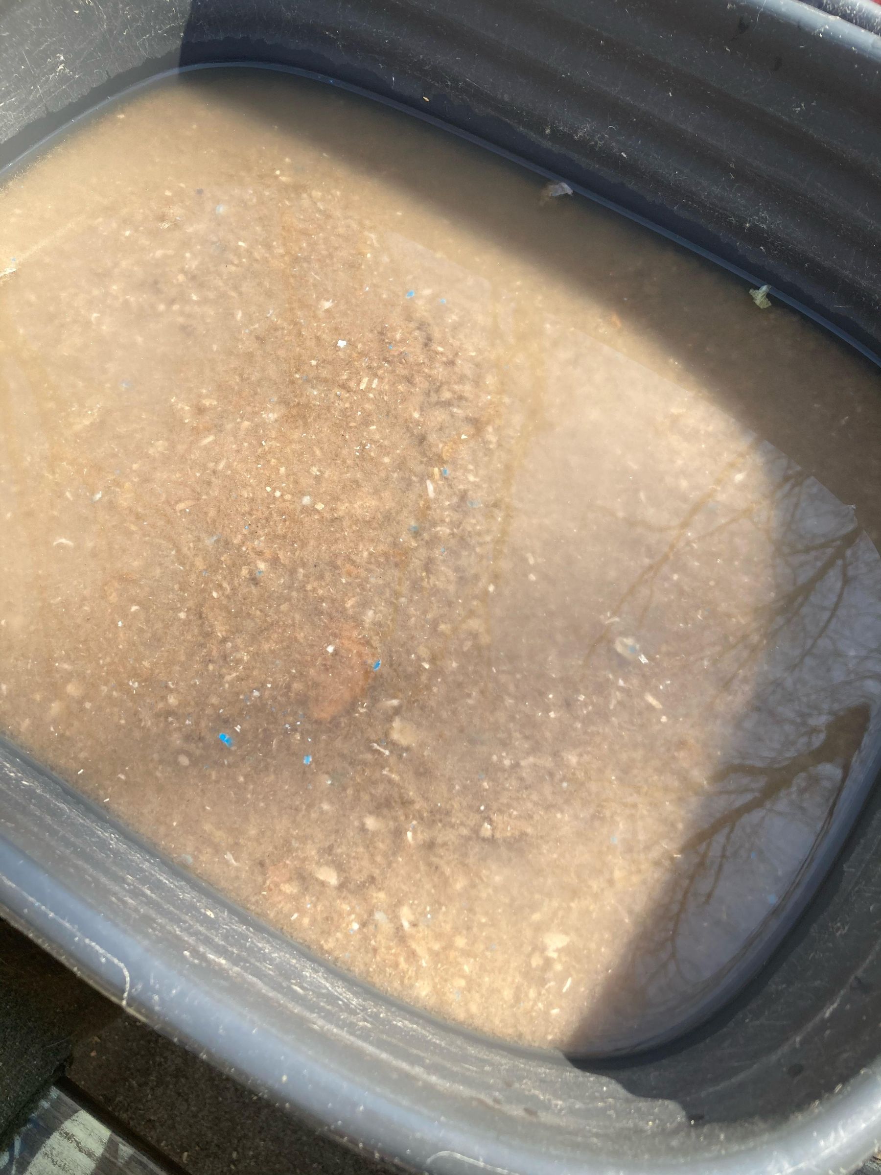 Seed Paper From Used Cardboard Boxes : 8 Steps (with Pictures ...