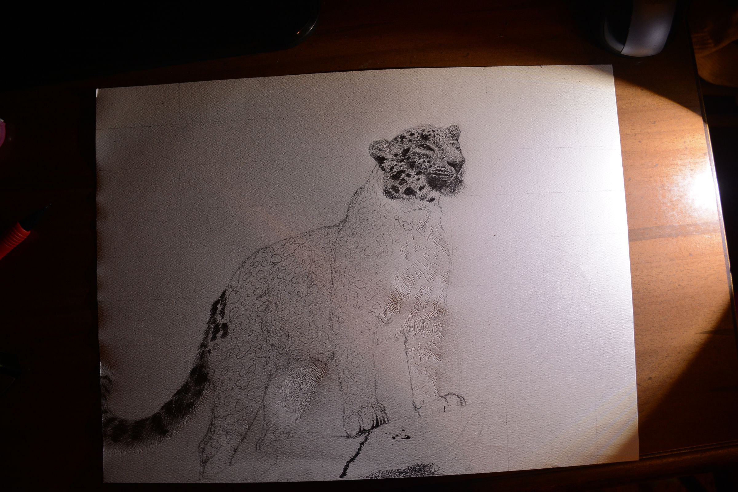 How to Draw an Amur Leopard on Pastel Paper : 5 Steps - Instructables