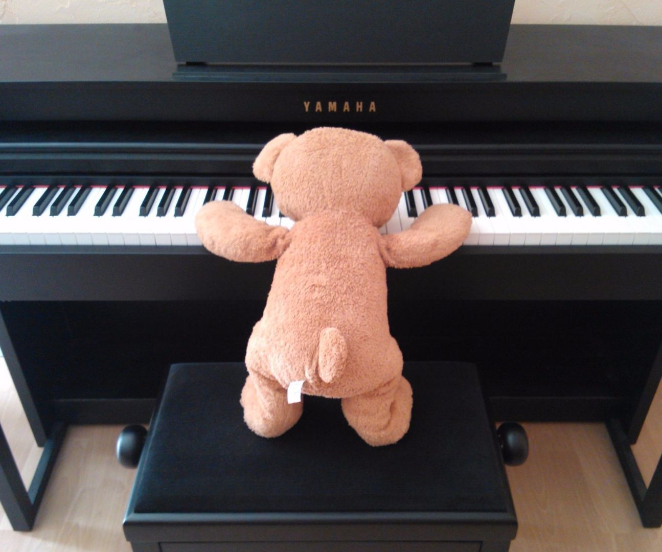 How to Play Piano and Easy Piano Songs for Beginners : 4 Steps ...