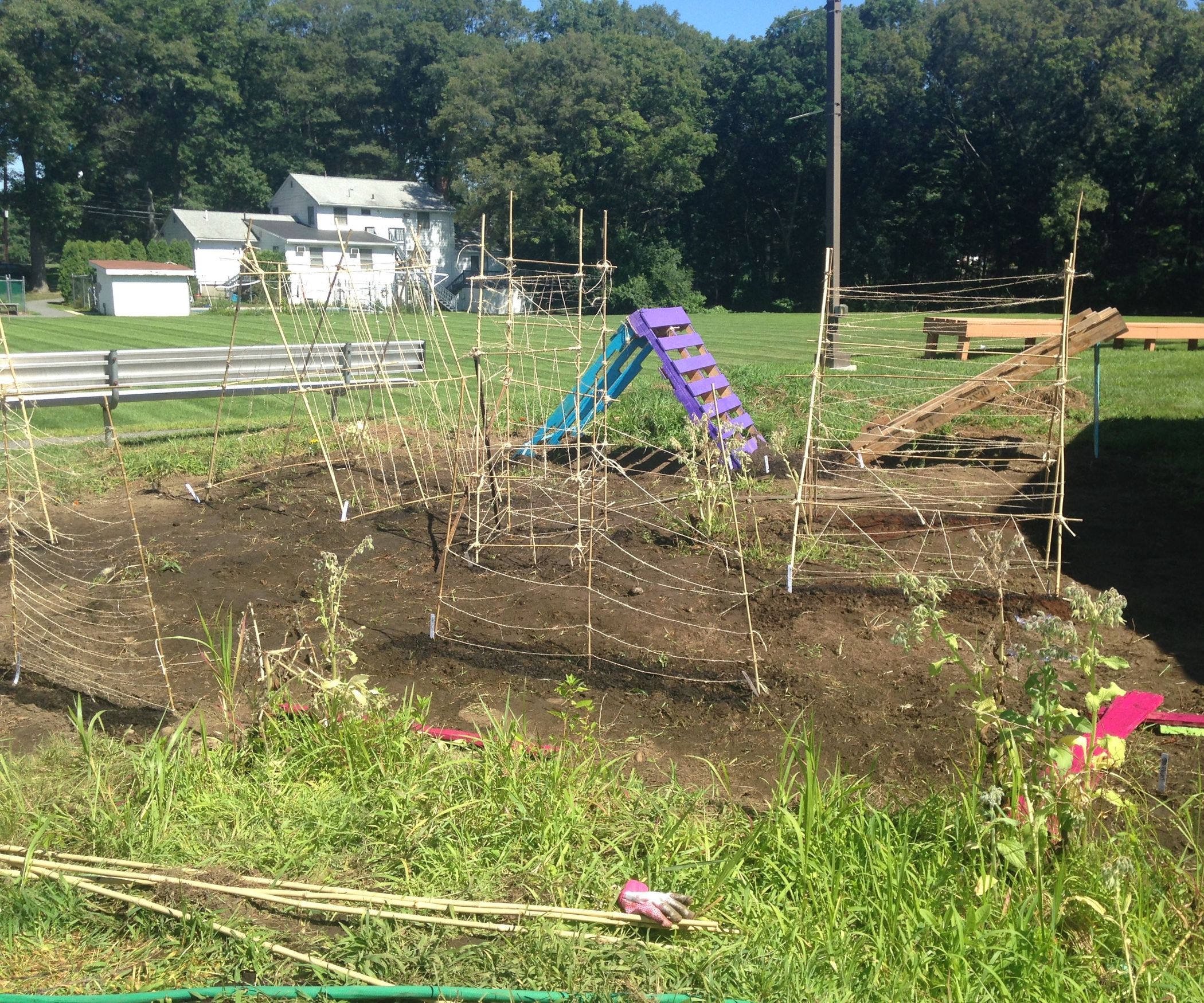 Upcycled Pallet Trellis : 4 Steps - Instructables