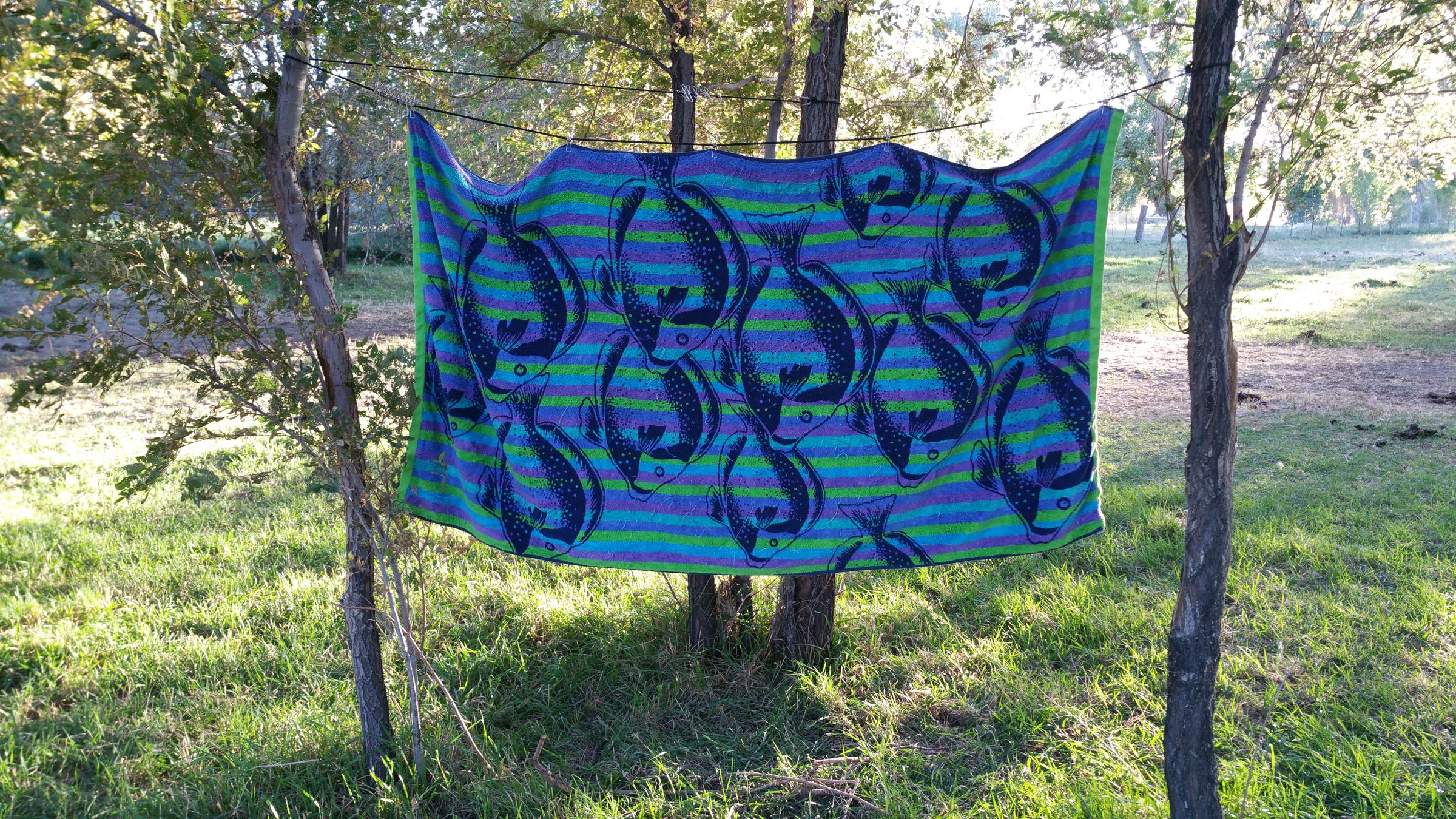 Take It With You Clothes Line : 4 Steps (with Pictures) - Instructables