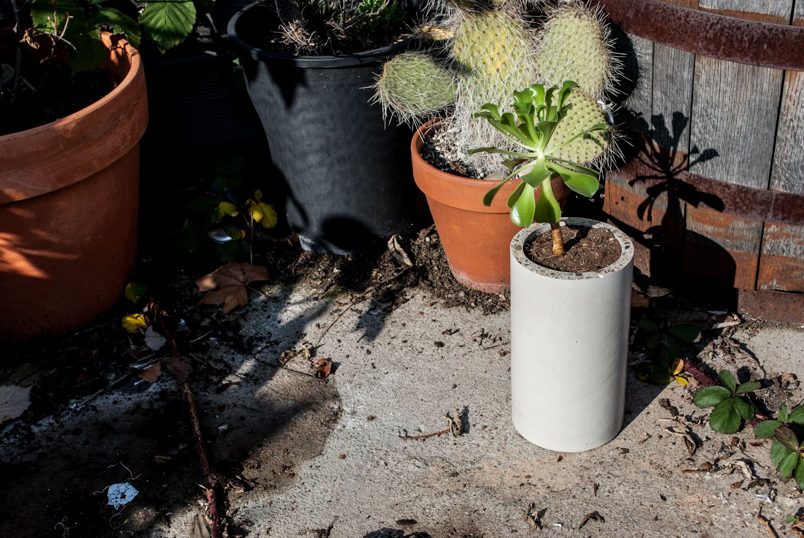 DIY CONCRETE:: Cylinders From Cardboard Tubes : 7 Steps (with Pictures ...