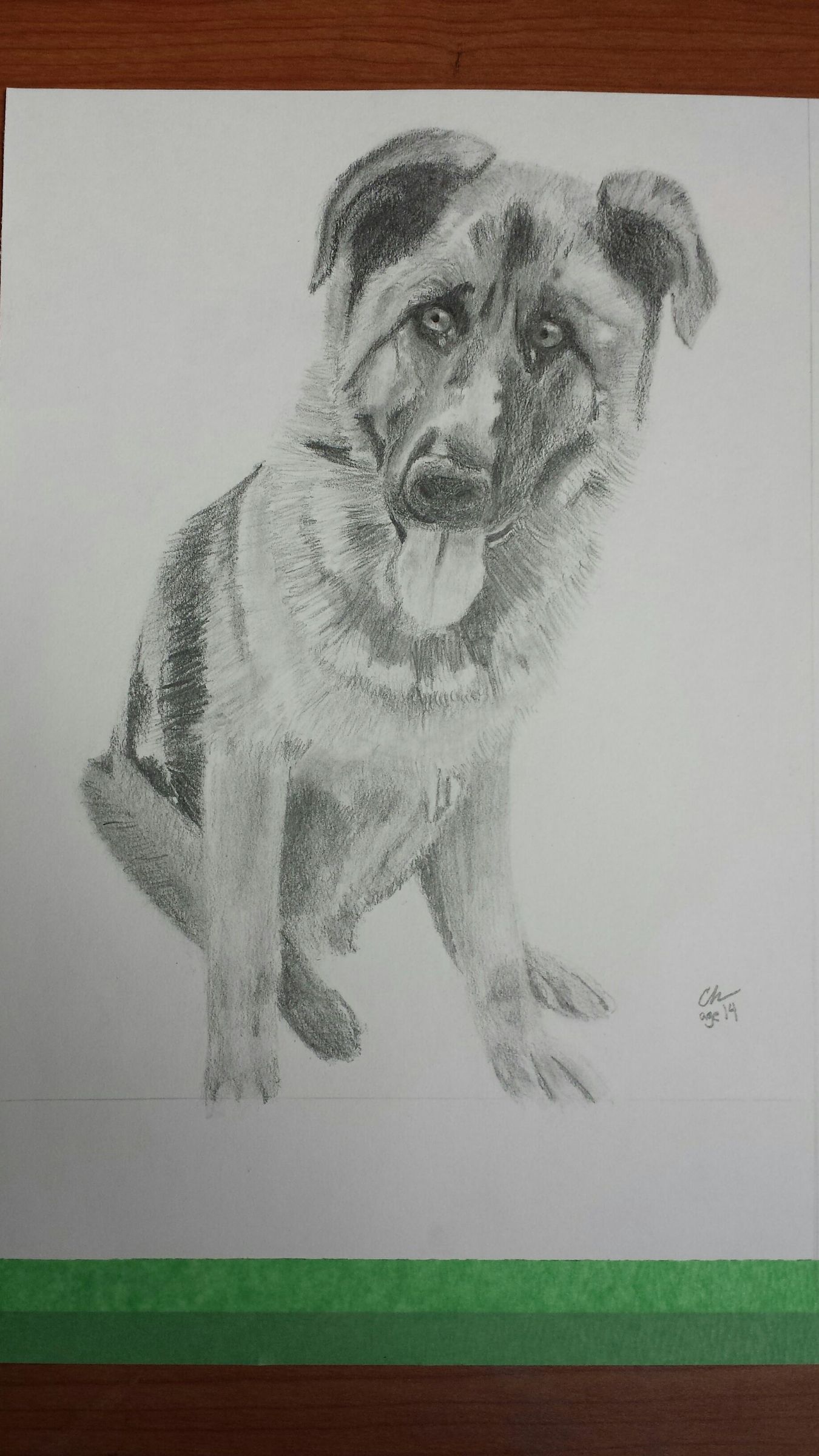 German Shepherd Pencil Drawing : 5 Steps - Instructables