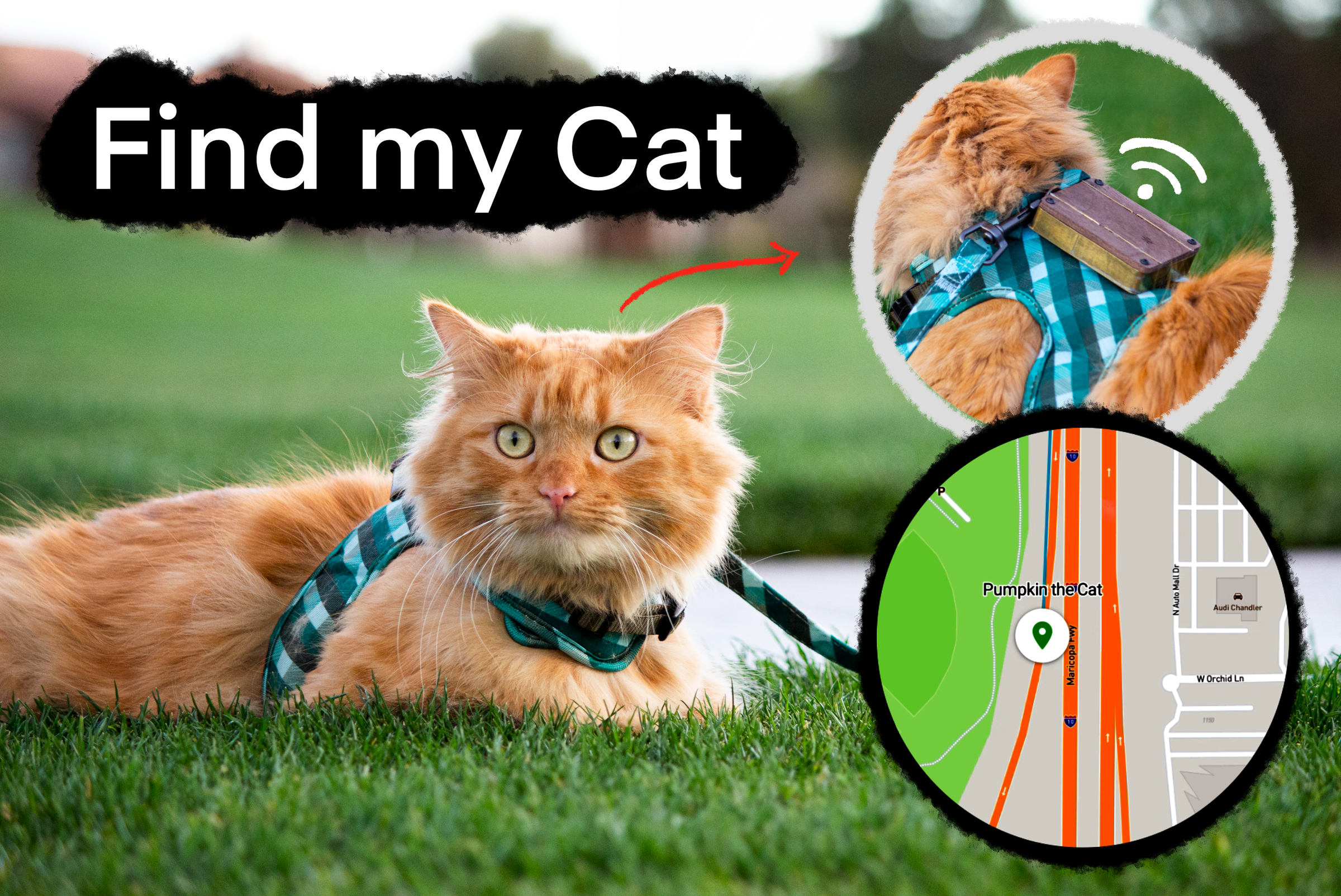 Find My Cat -- the GPS Tracker for Pets : 29 Steps (with Pictures ...