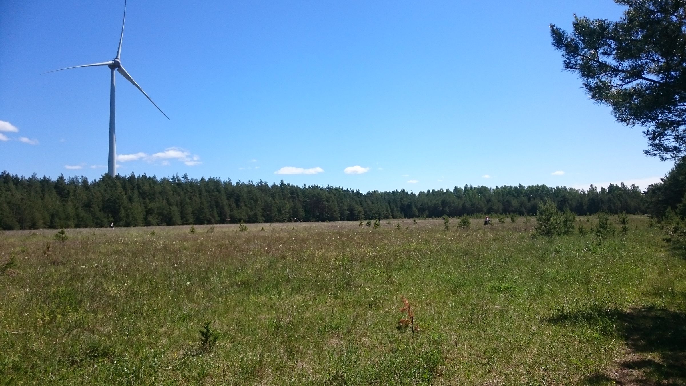 Insect Collection Case and Introduction to Entomology : 8 Steps (with ...