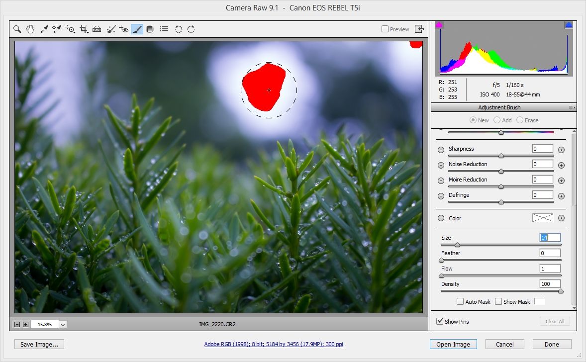 A Complete Beginner's Guide to Raw Files and Raw Processing : 11 Steps ...