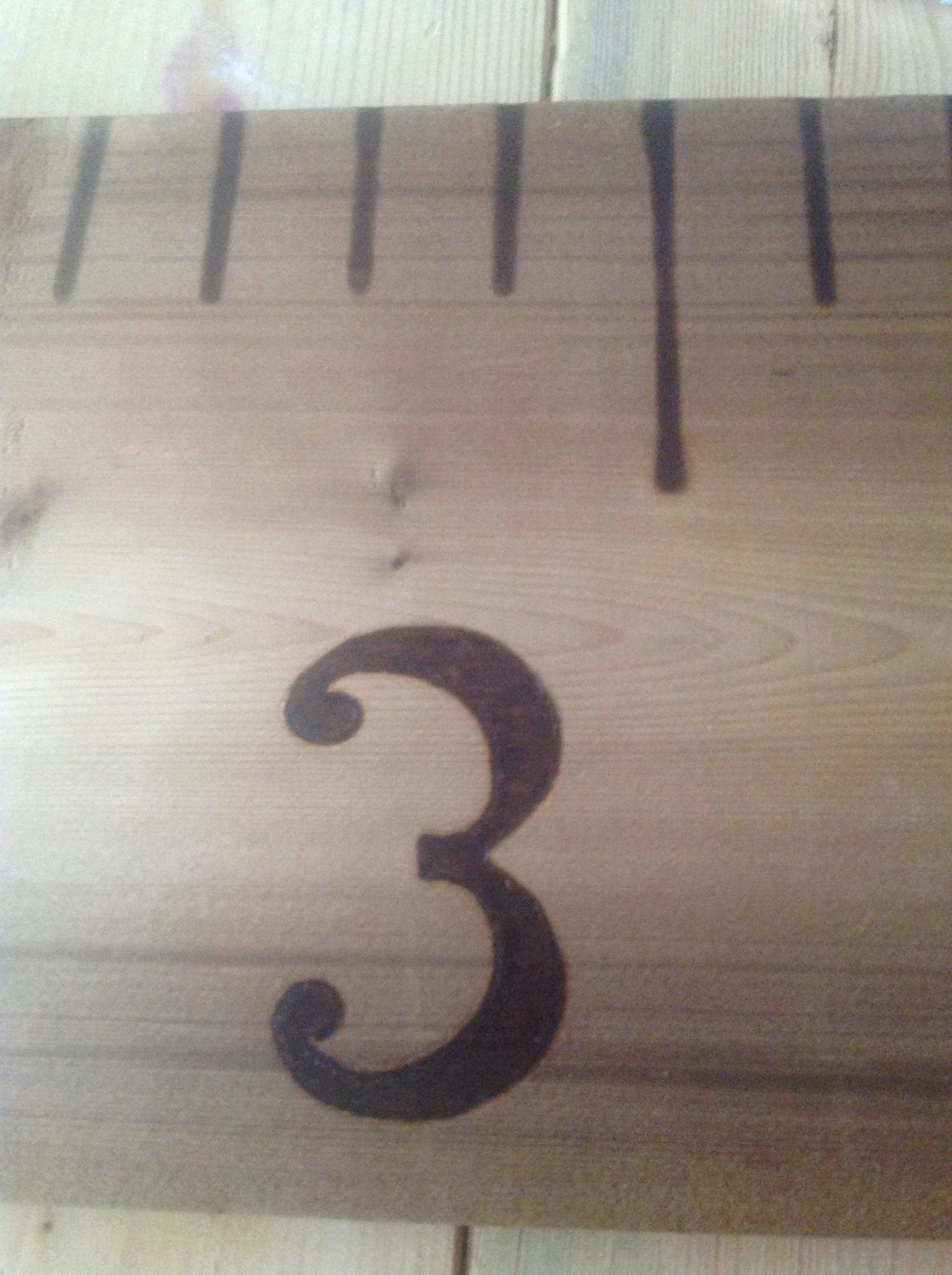 Cedar Wood Growth Chart Ruler Using Wood Burning Techniques : 6 Steps ...