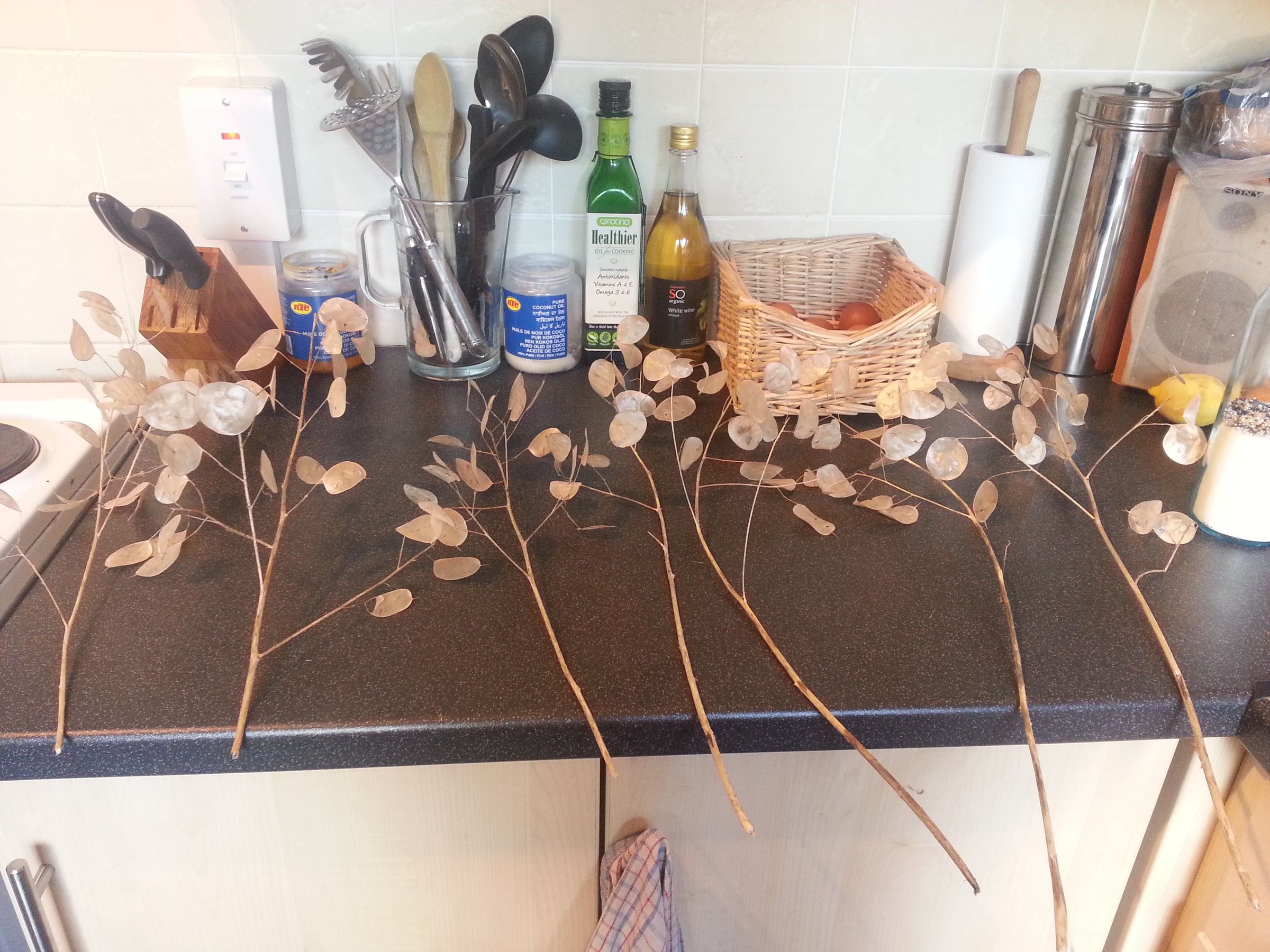 Easy Beautiful Silver Dollar Arrangement : 4 Steps - Instructables